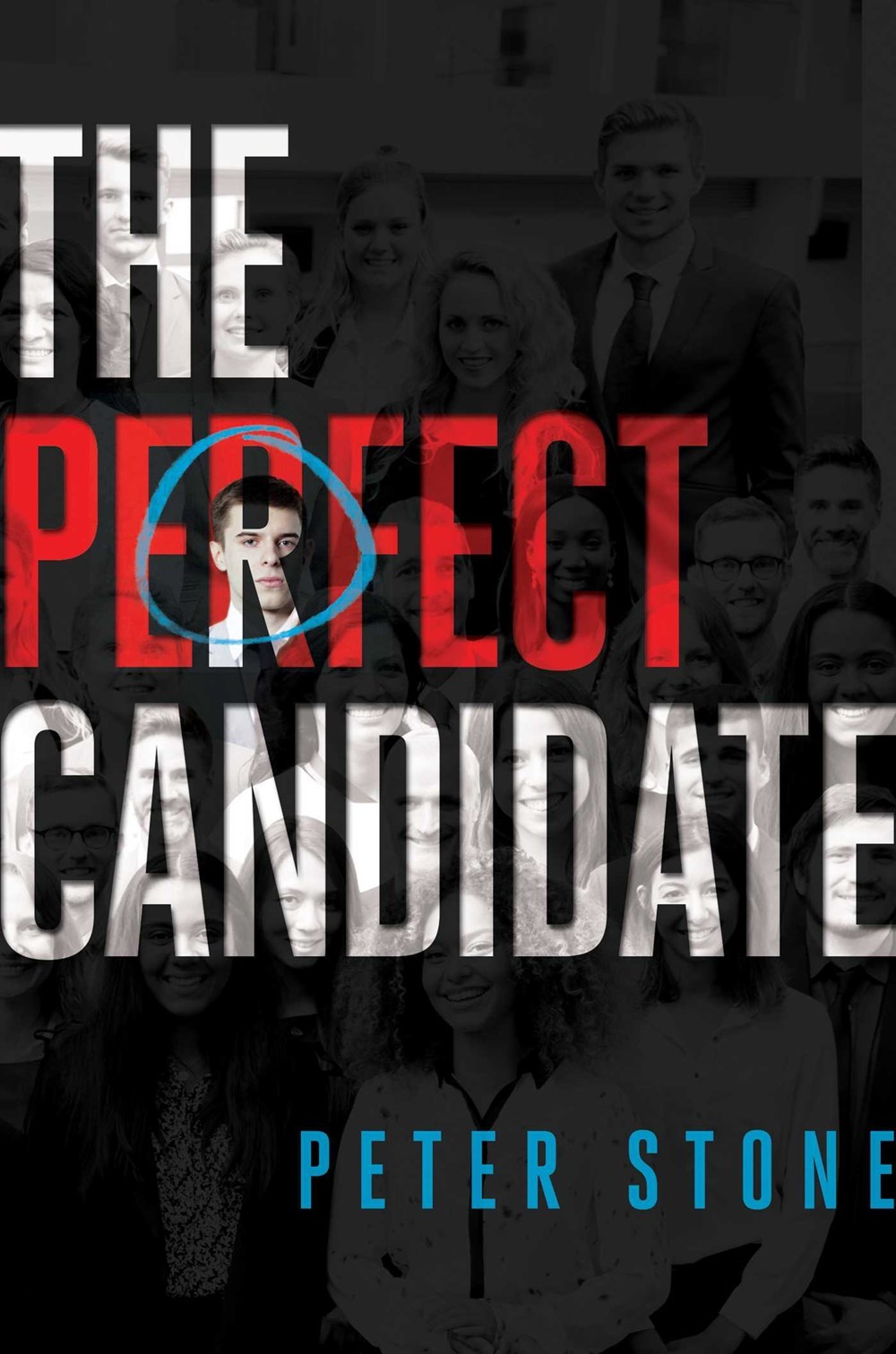 The Perfect Candidate by Peter Stone | Goodreads