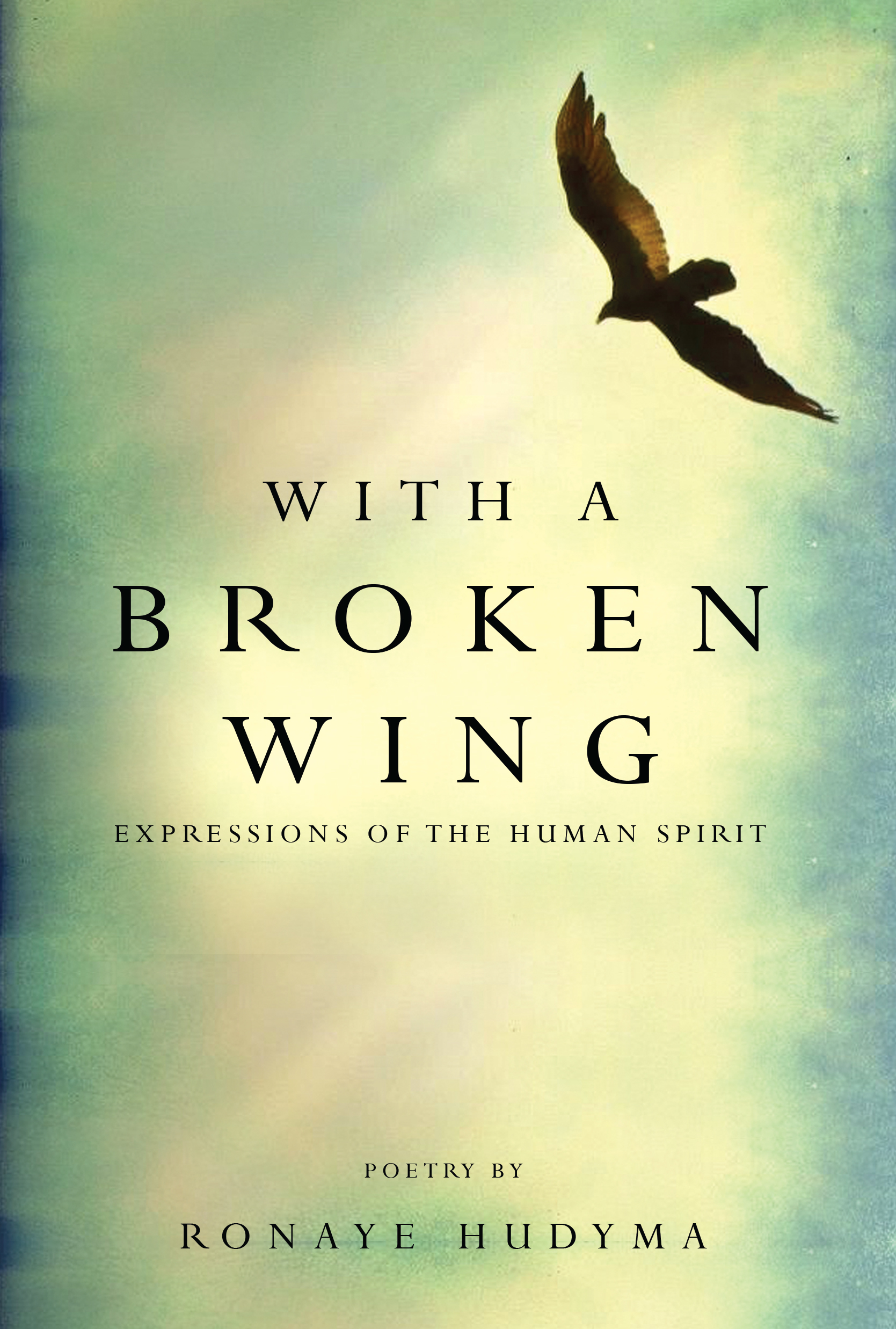 With a Broken Wing: Expressions of the Human Spirit by Ronaye Hudyma | Goodreads