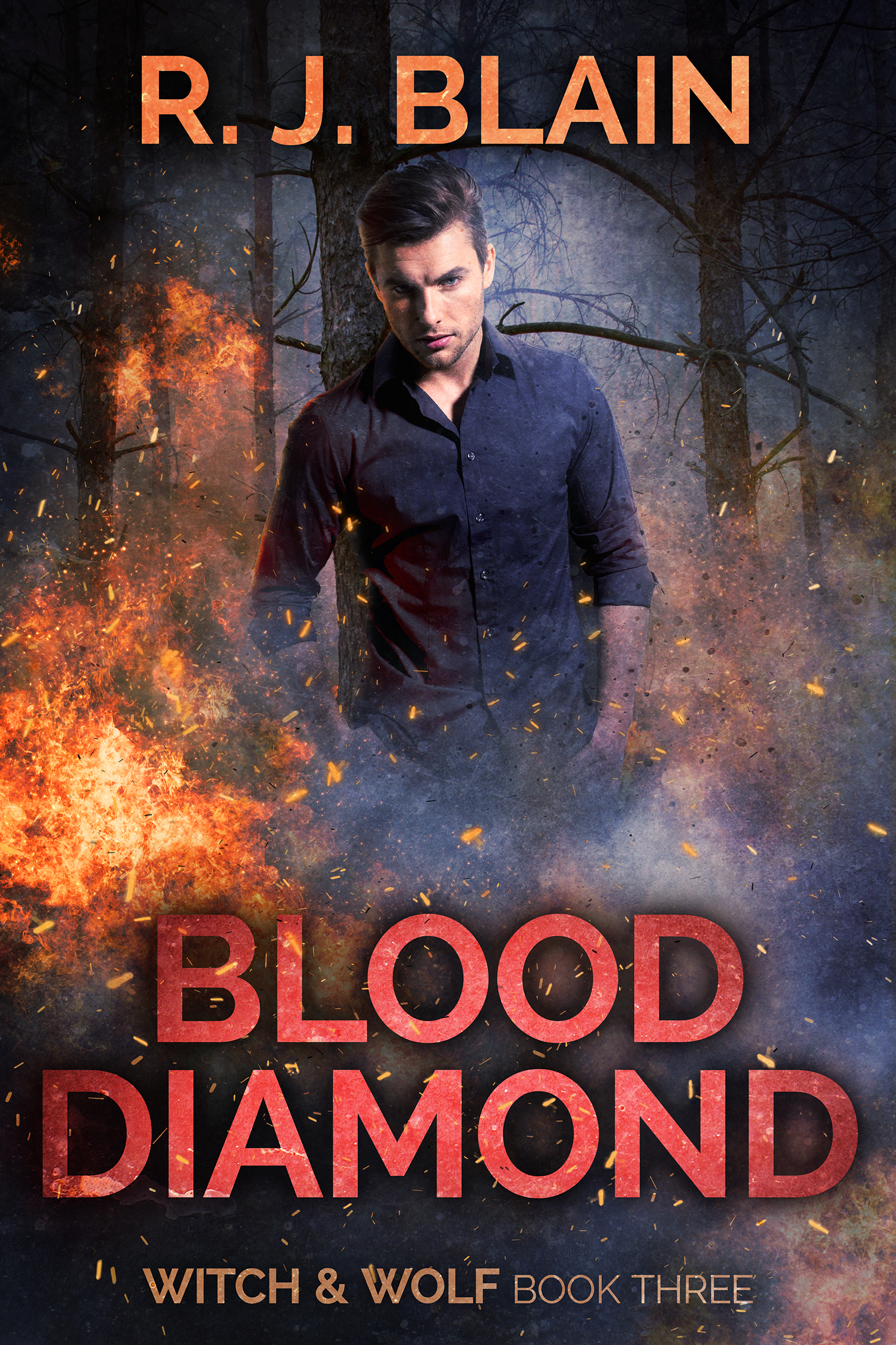 Blood Diamond (Witch & Wolf, #3) by R.J. Blain | Goodreads