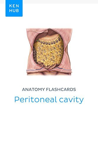 Anatomy flashcards: Peritoneal cavity: Learn all organs, arteries and ...