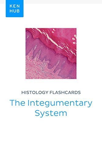 Histology flashcards: The Integumentary System: Learn all tissues on ...