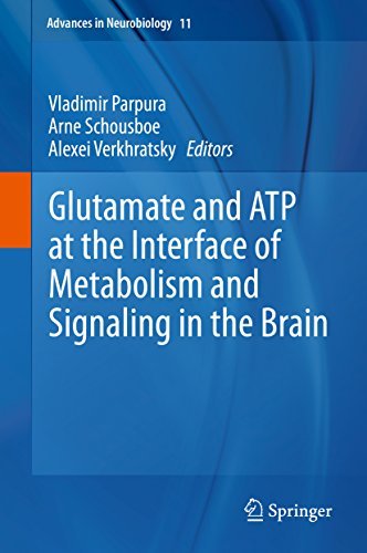 Glutamate and ATP at the Interface of Metabolism and Signaling in the ...