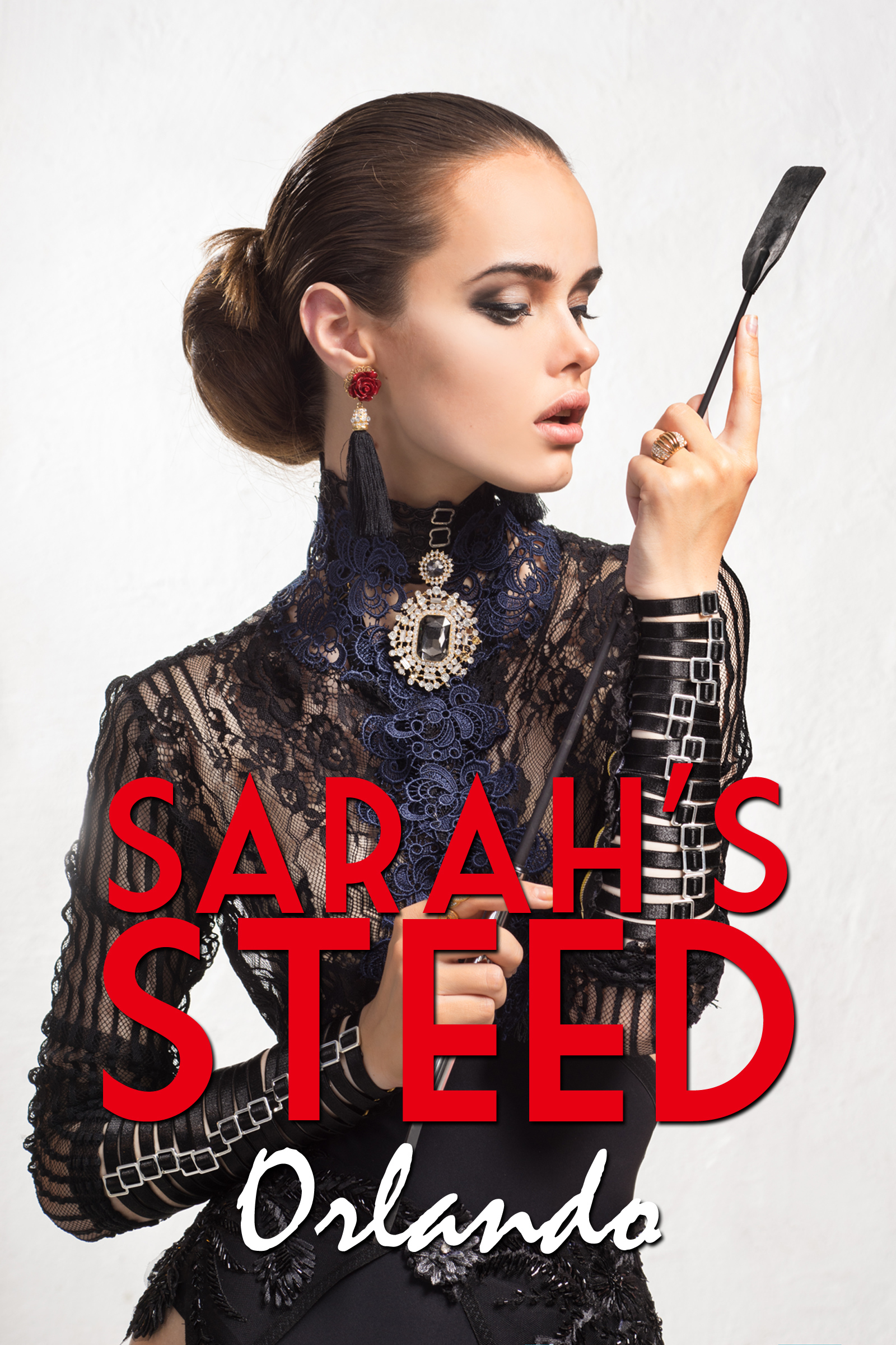 Sarah's Steed by Orlando | Goodreads