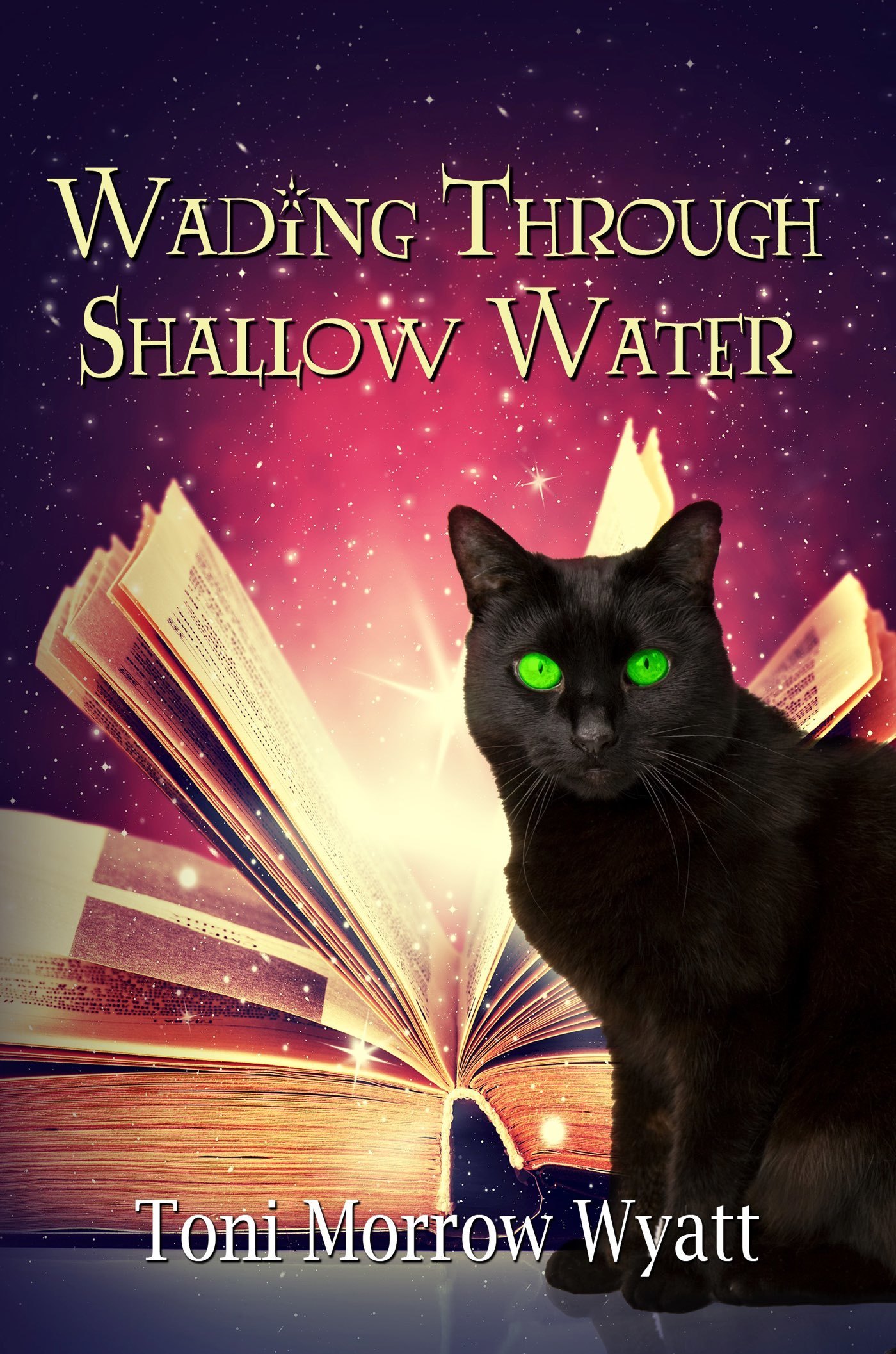 Wading Through Shallow Water by Toni Morrow Wyatt | Goodreads
