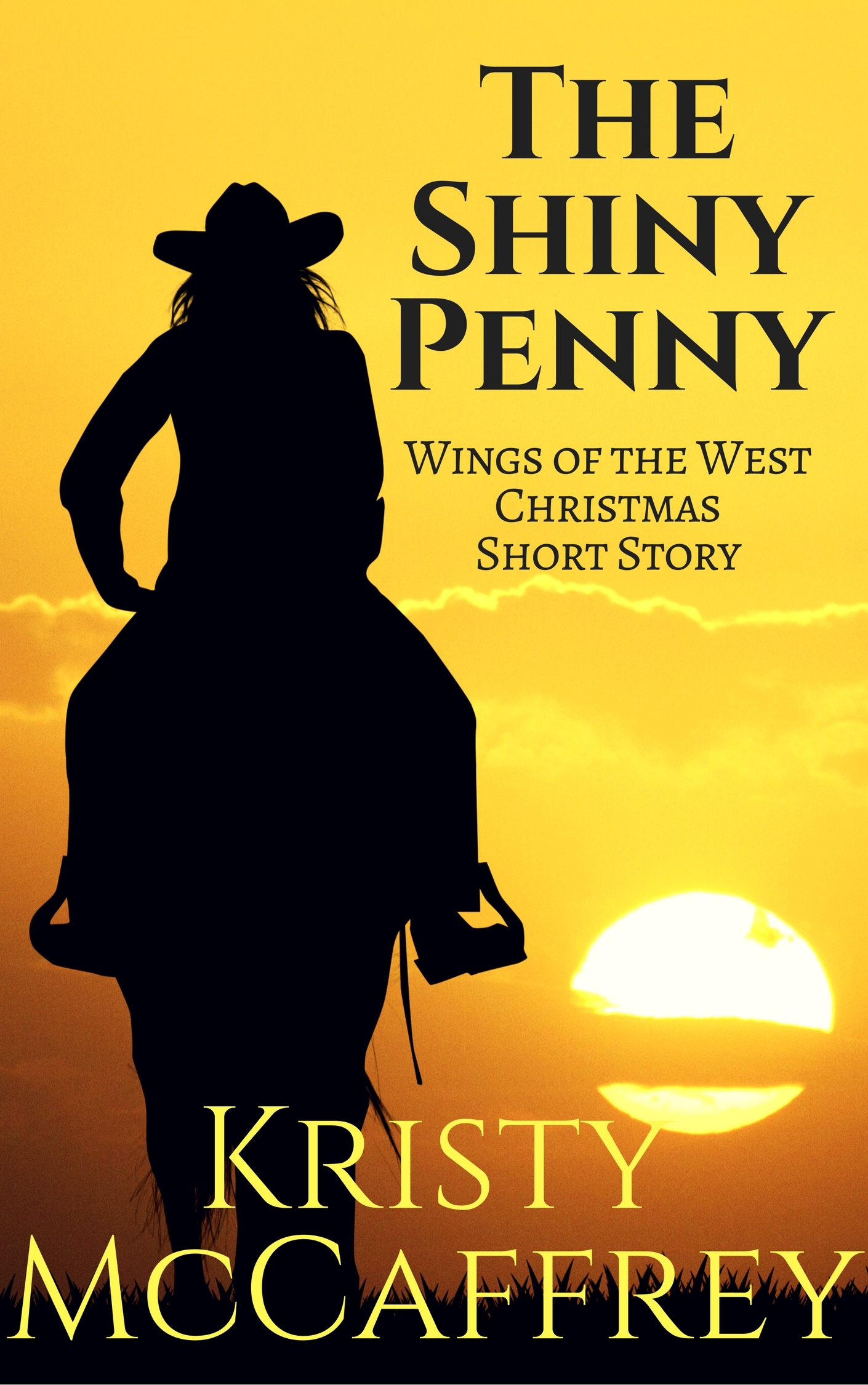 The Shiny Penny by Kristy McCaffrey | Goodreads
