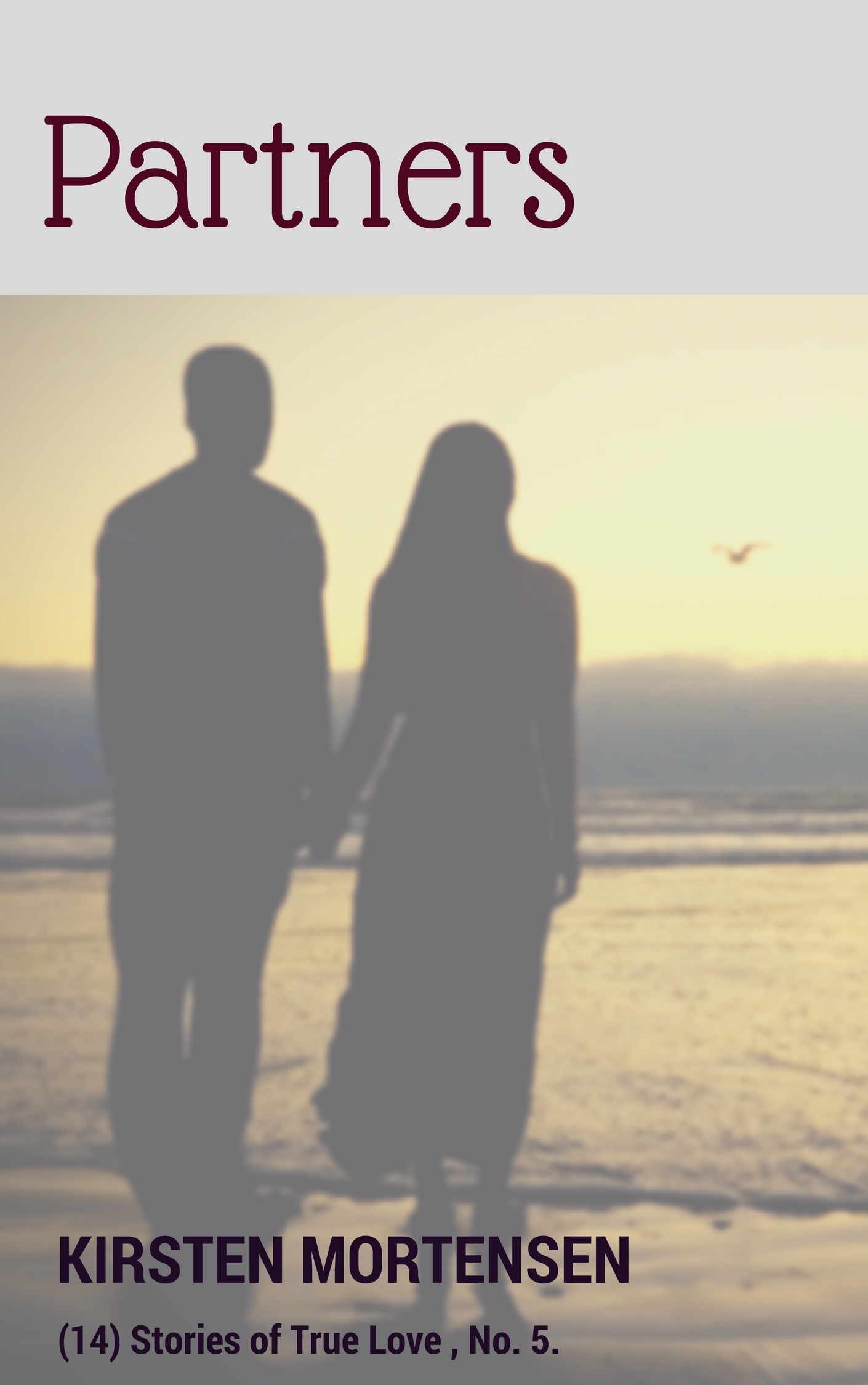 Partners (14 Stories of True Love, No. 5) by Kirsten Mortensen | Goodreads