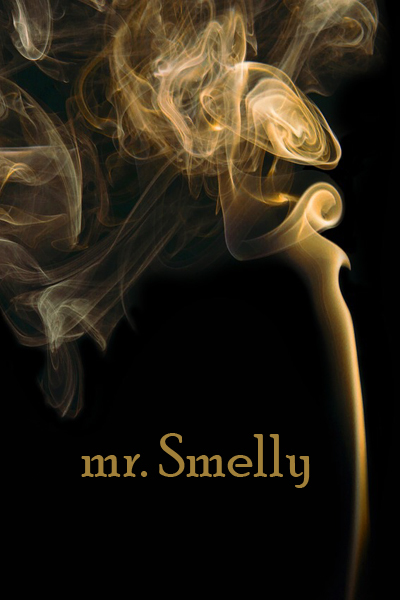 Mr Smelly by Martin Westlake | Goodreads