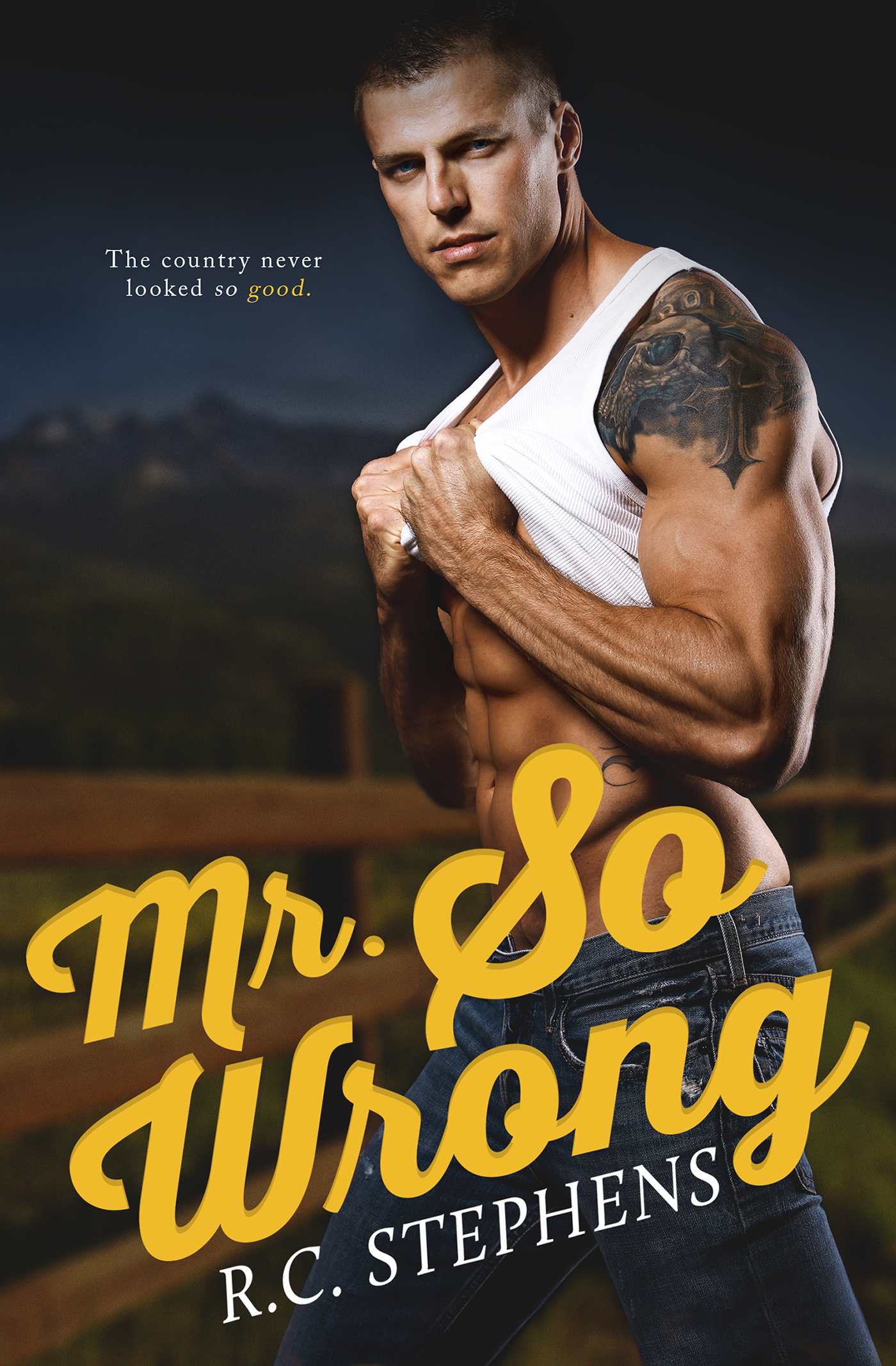 Mr. So Wrong by R.C. Stephens | Goodreads