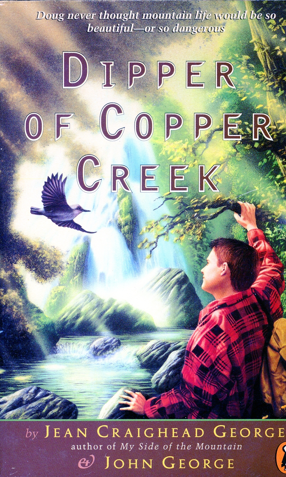 Dipper of Copper Creek by Jean Craighead George | Goodreads