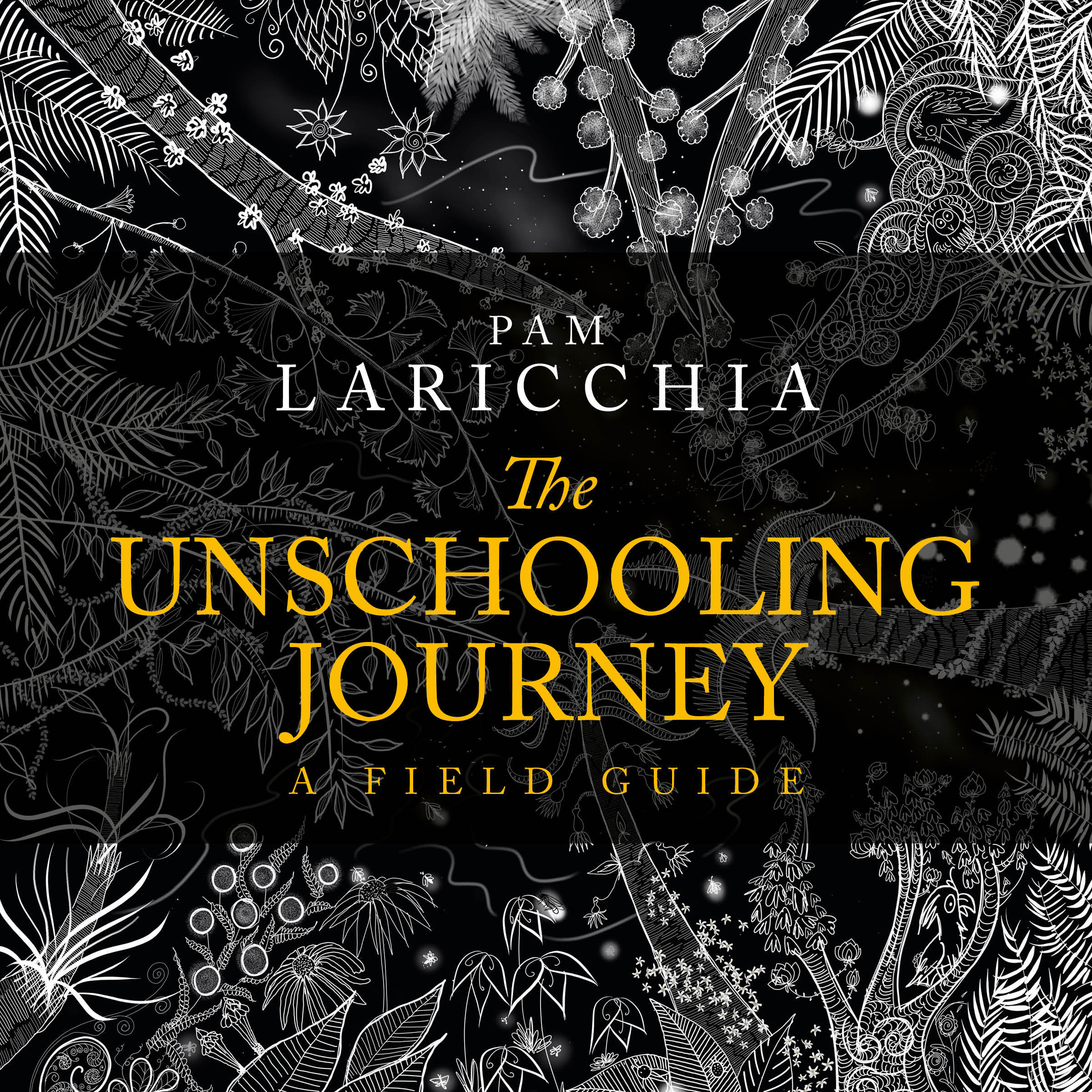 The Unschooling Journey: A Field Guide by Pam Laricchia | Goodreads