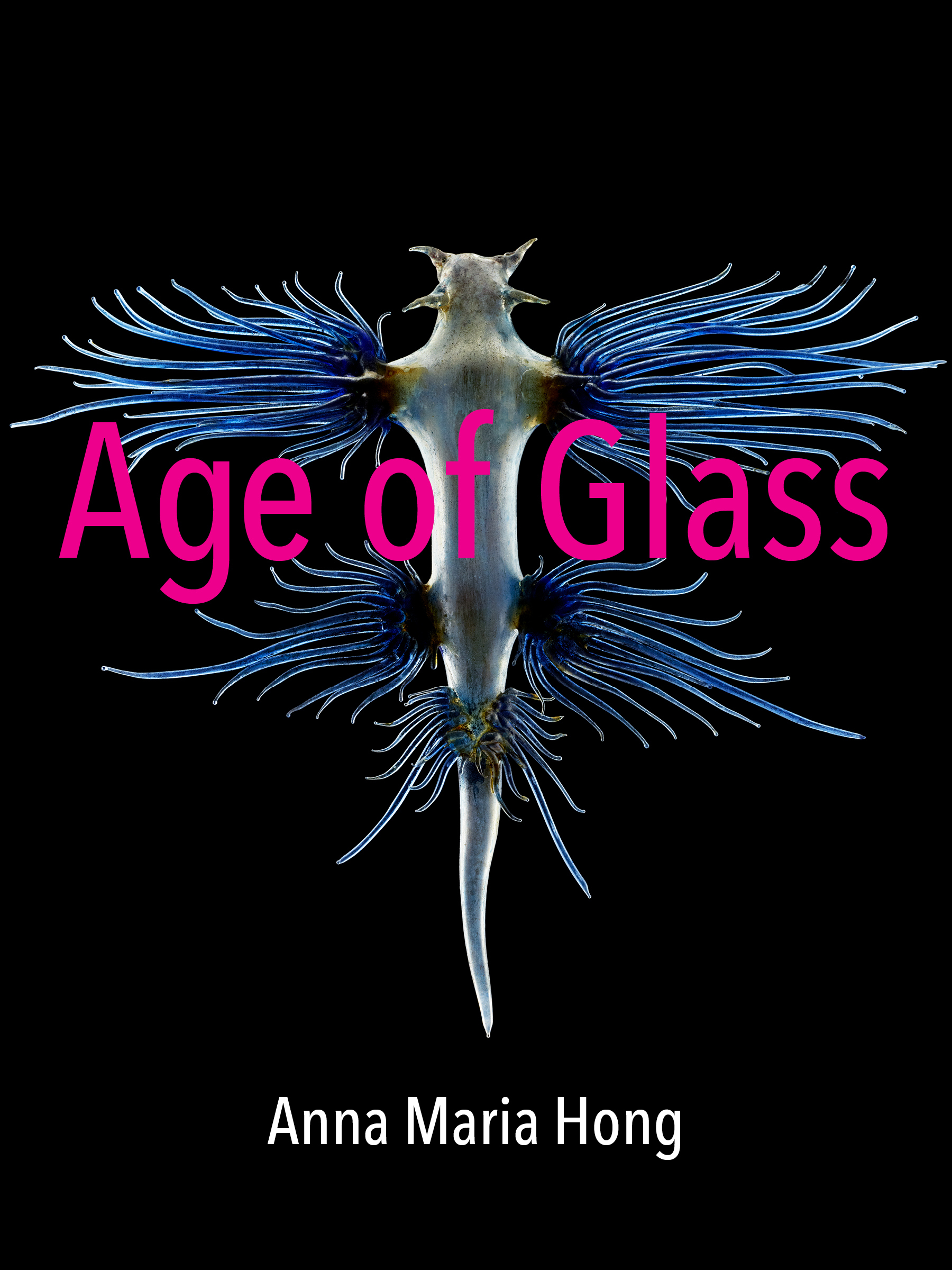 Age of Glass by Anna Maria Hong | Goodreads