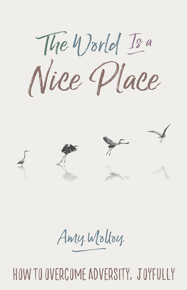The World Is a Nice Place: How to Overcome Adversity, Joyfully by Amy ...