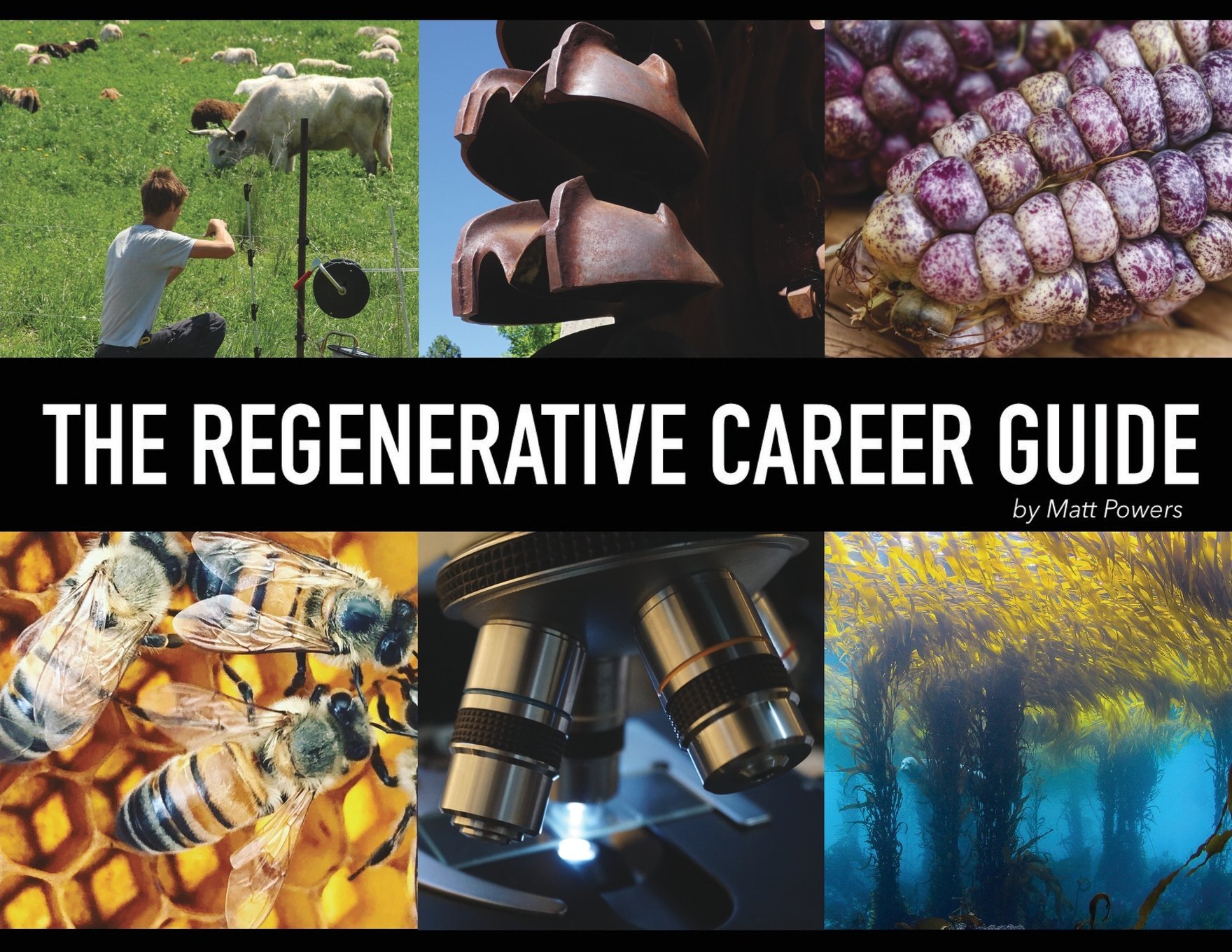 The Regenerative Career Guide by Matt Powers | Goodreads