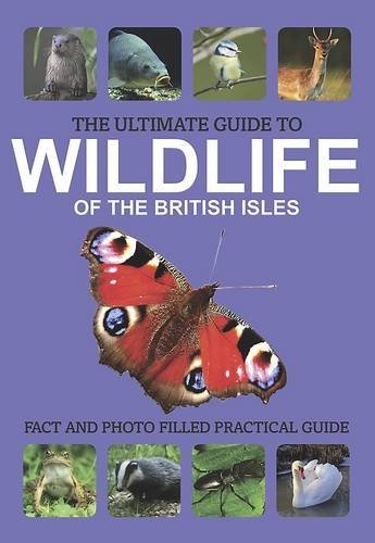 The Ultimate Guide to Wildlife of the British Isles by Alice Tomsett ...