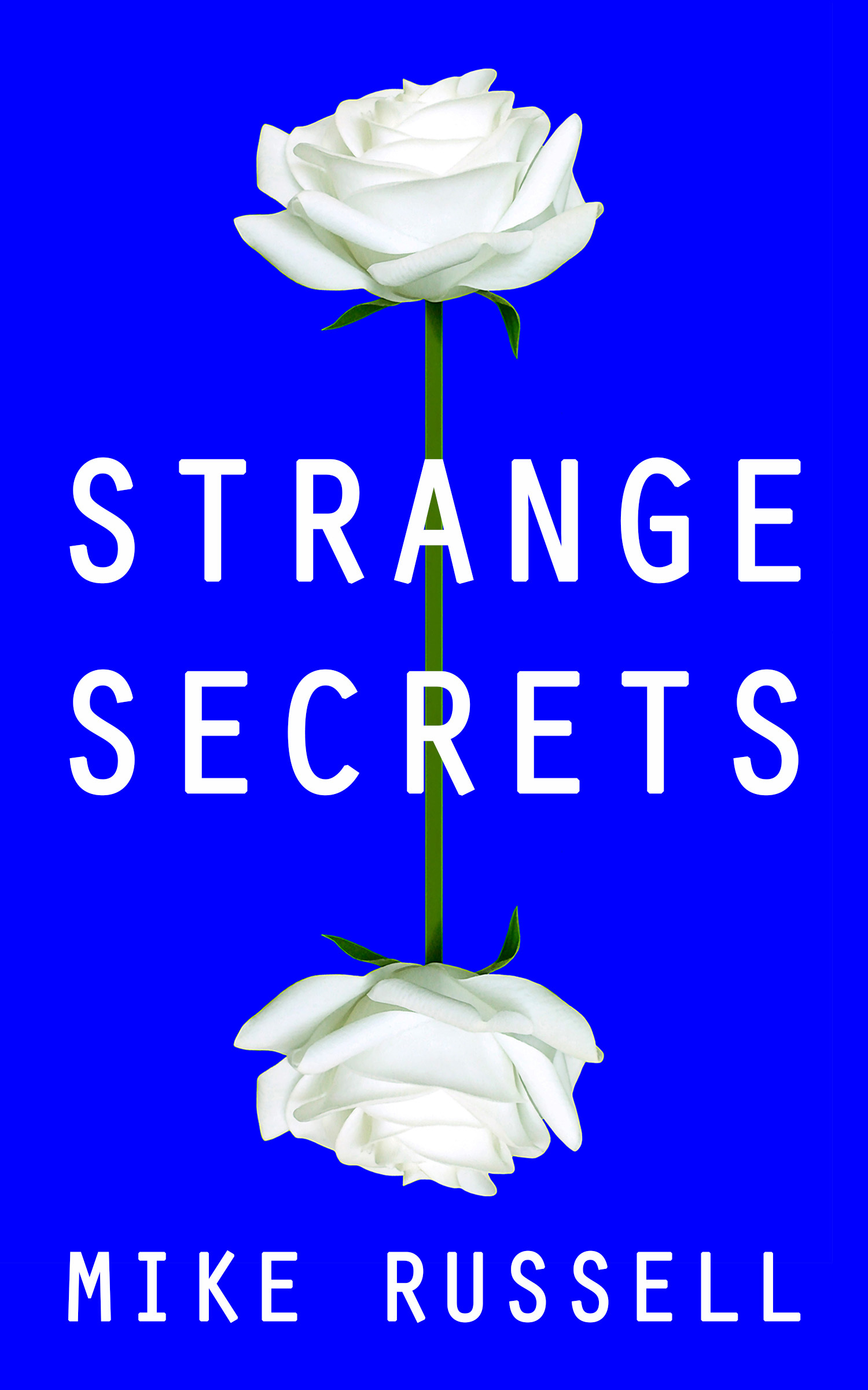 Strange Secrets by Mike Russell | Goodreads