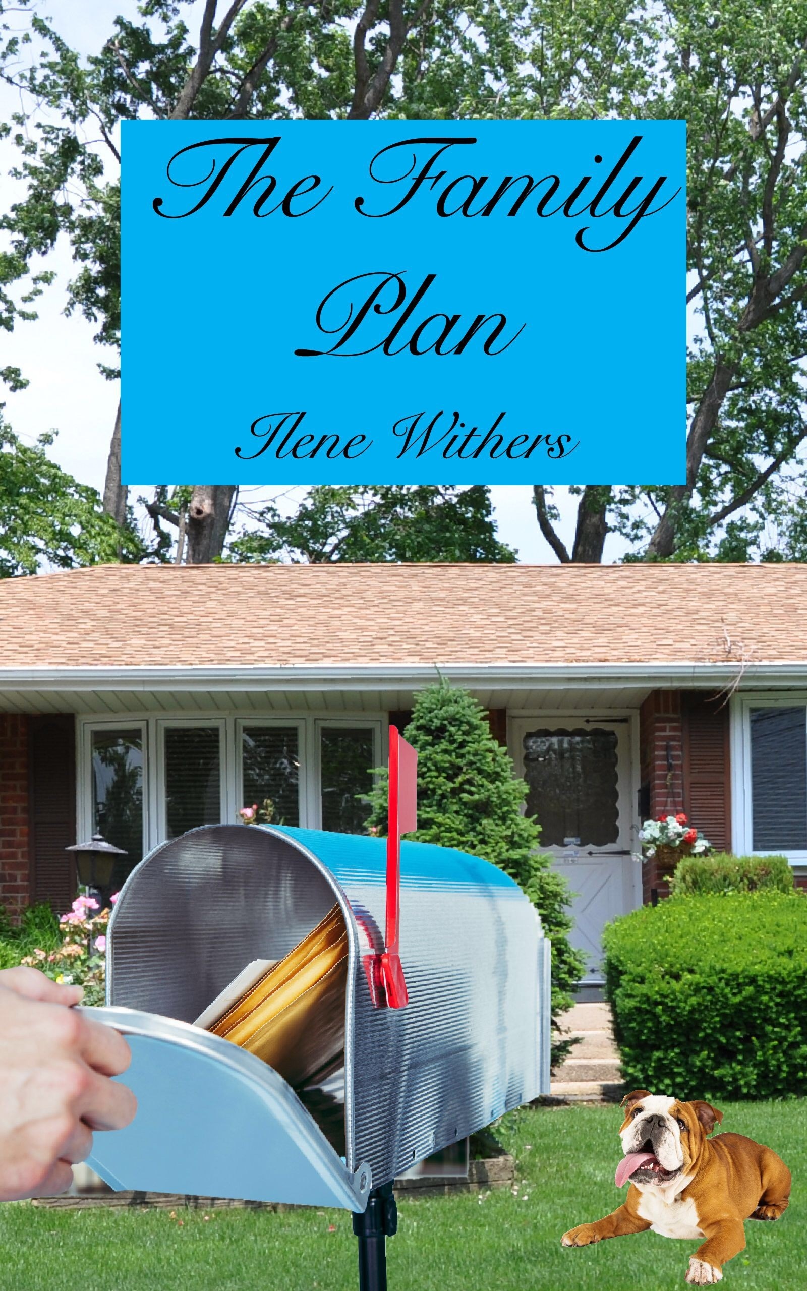 The Family Plan by Ilene Withers | Goodreads