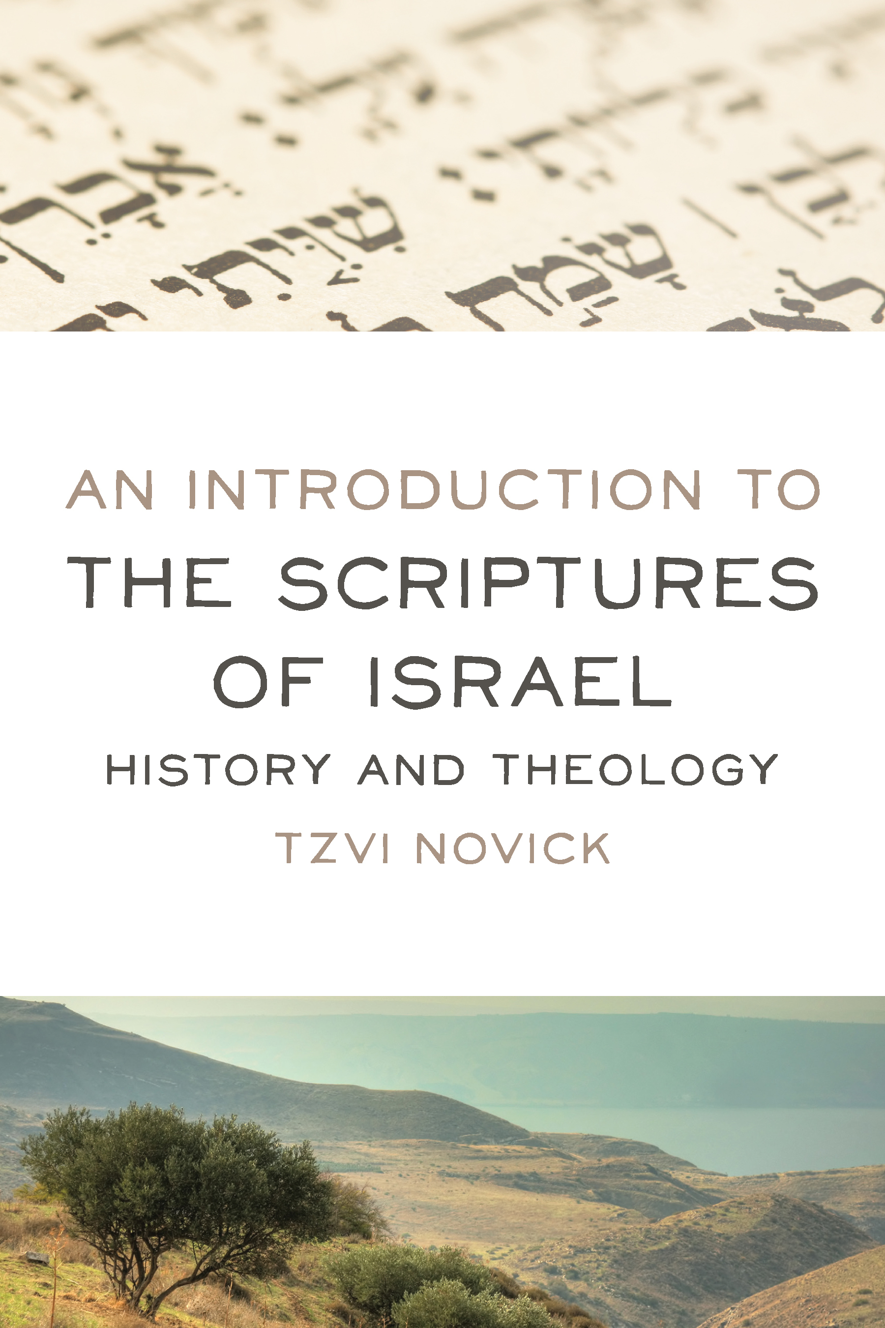Introduction to the Scriptures of Israel: History and Theology by Tzvi ...