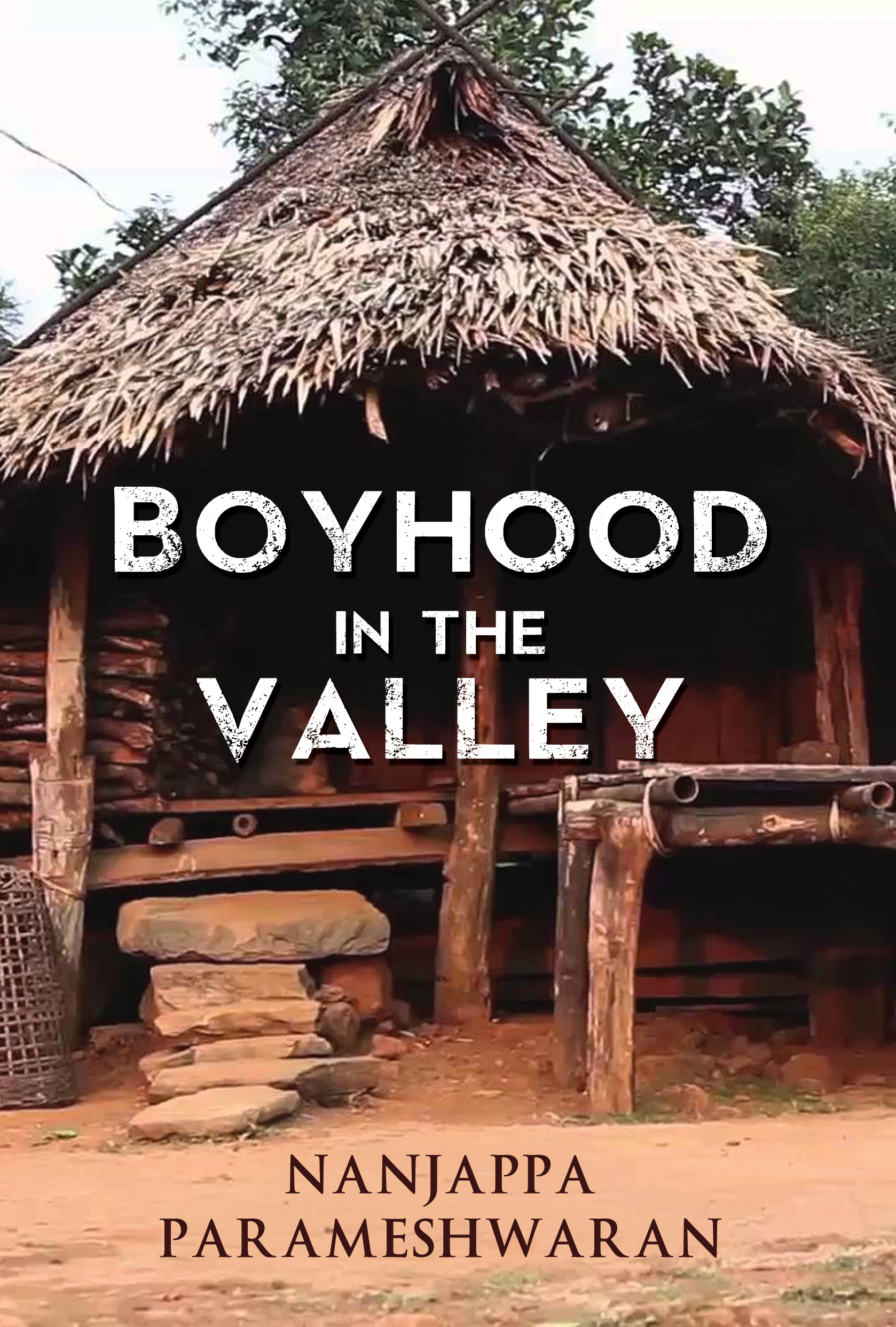 Boyhood in the Valley by Nanjappa Parameshwaran | Goodreads