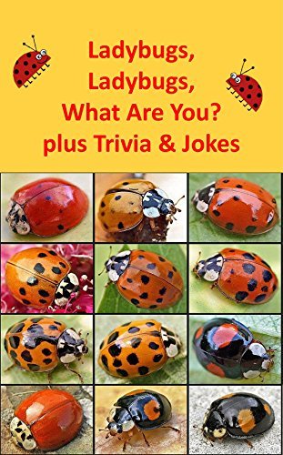 Ladybugs, Ladybugs, What Are You plus Trivia and Jokes by Rich Linville ...