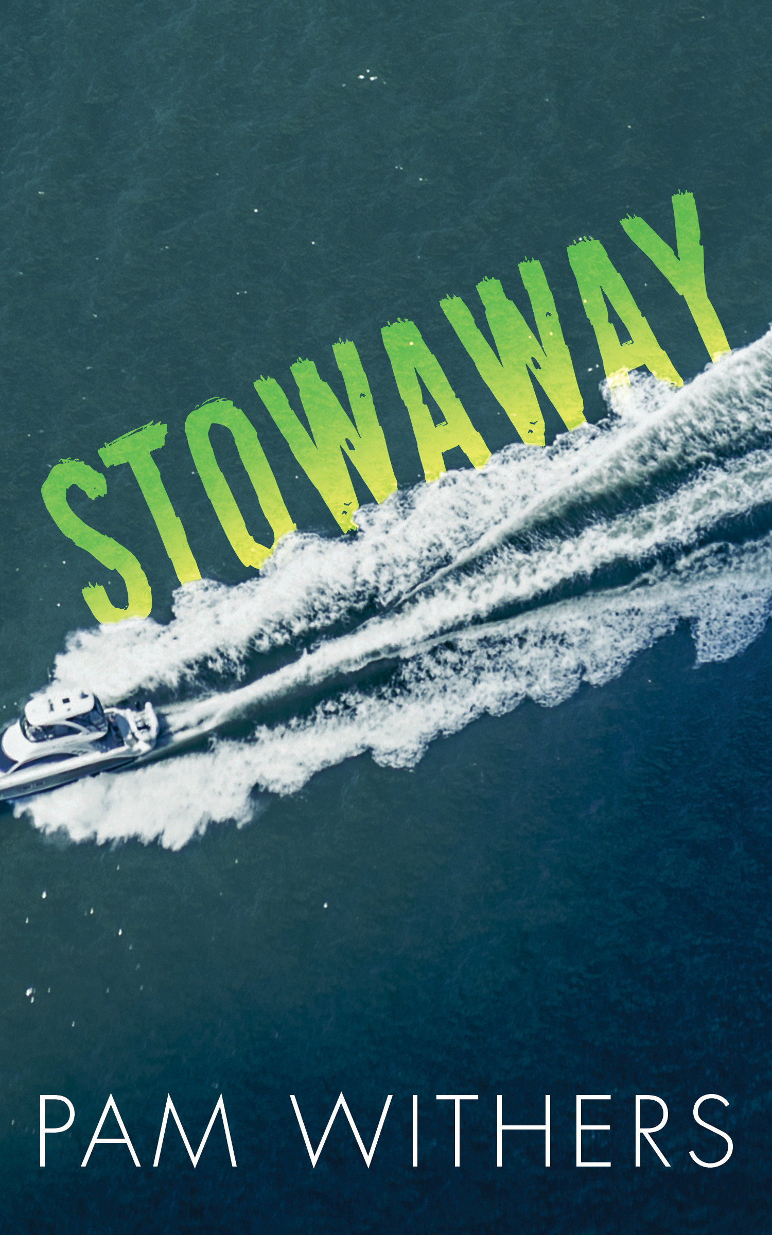 Stowaway by Pam Withers | Goodreads