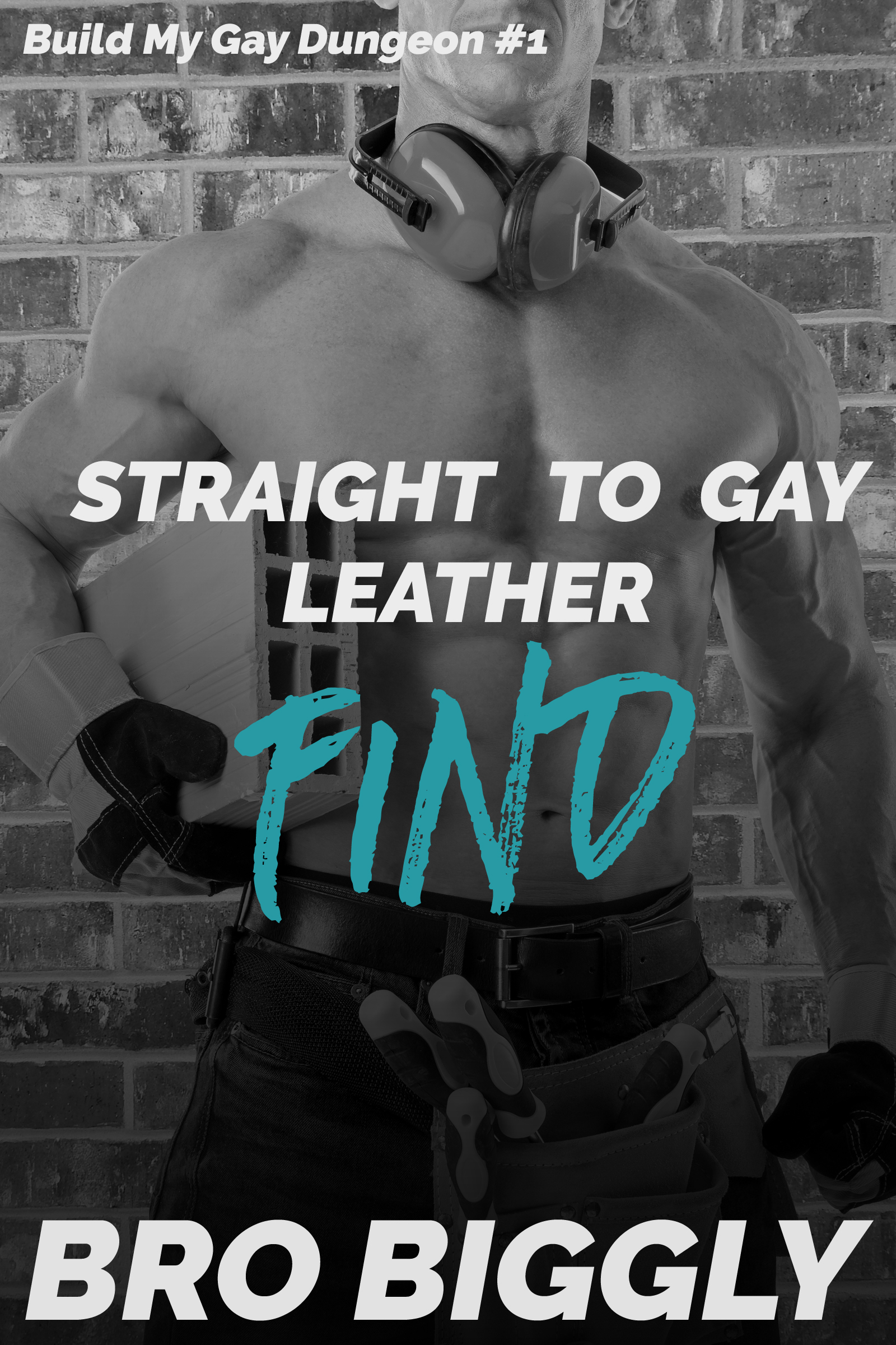 Straight to Gay Leather: Find (Build My Gay Dungeon #1) by Bro Biggly ...