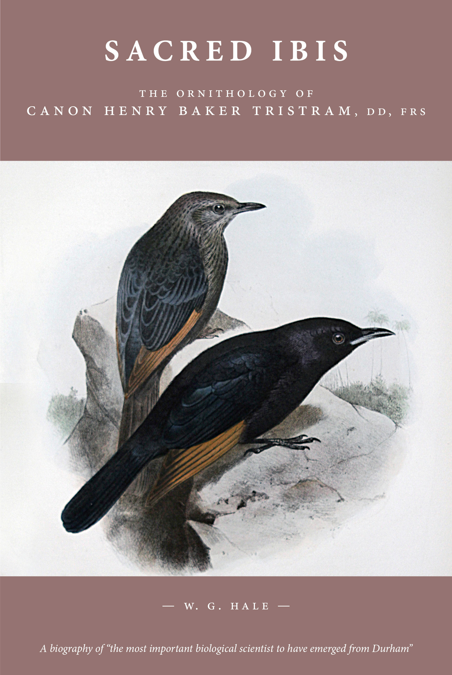 Sacred Ibis: The Ornithology of Canon Henry Baker Tristram, DD, FRS by ...