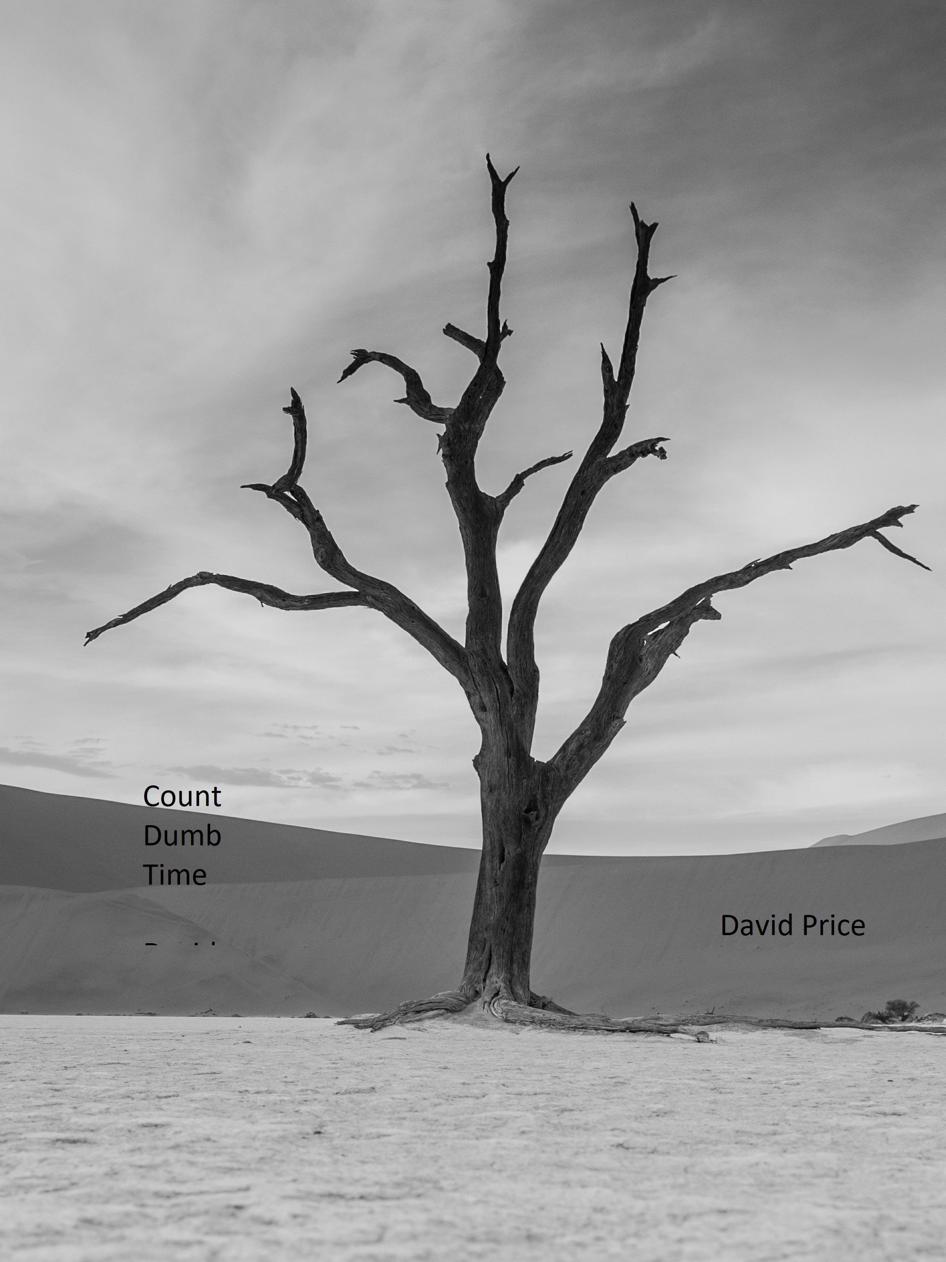 Count Dumb Time by David Price | Goodreads