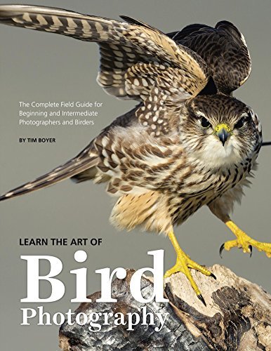 Learn the Art of Bird Photography: The Complete Field Guide for ...
