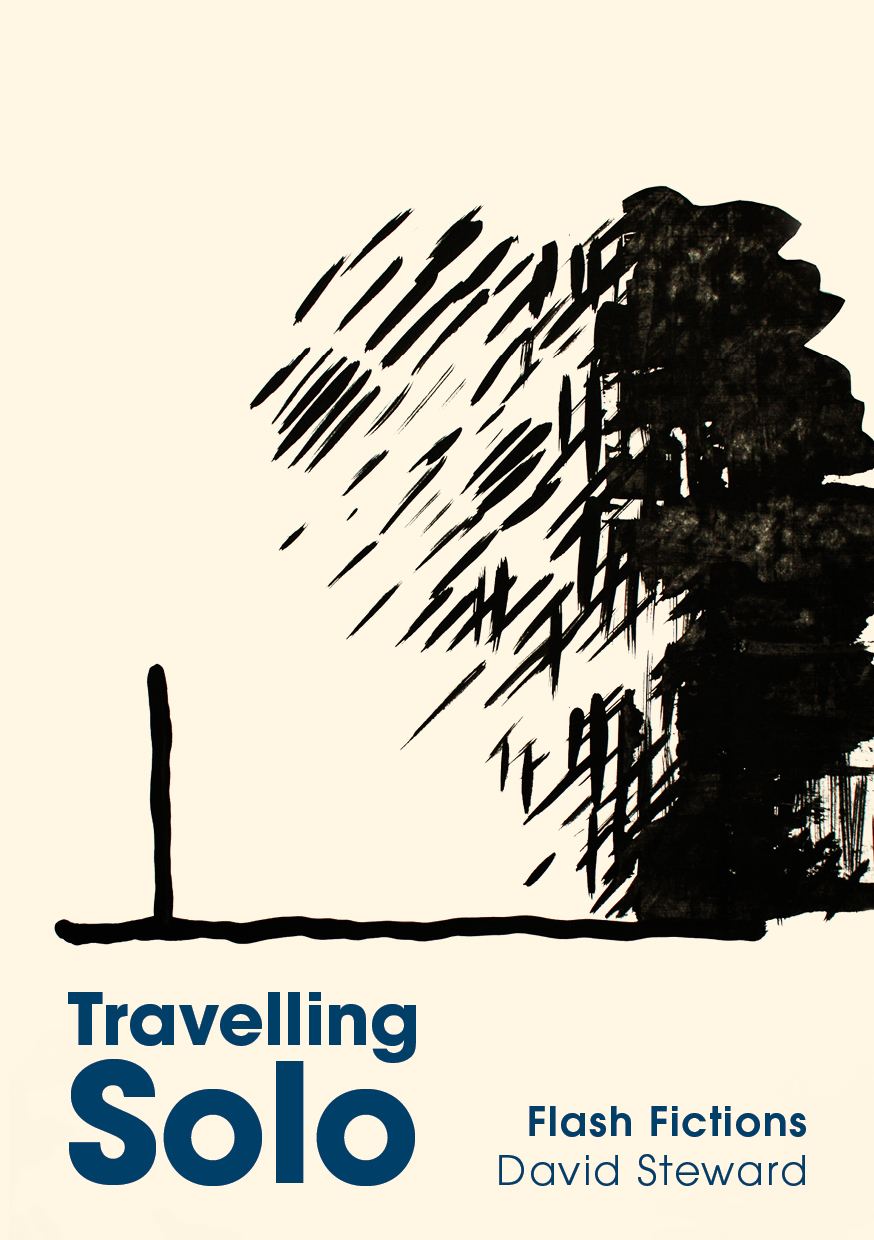 Travelling Solo: Flash Fictions by David Steward | Goodreads