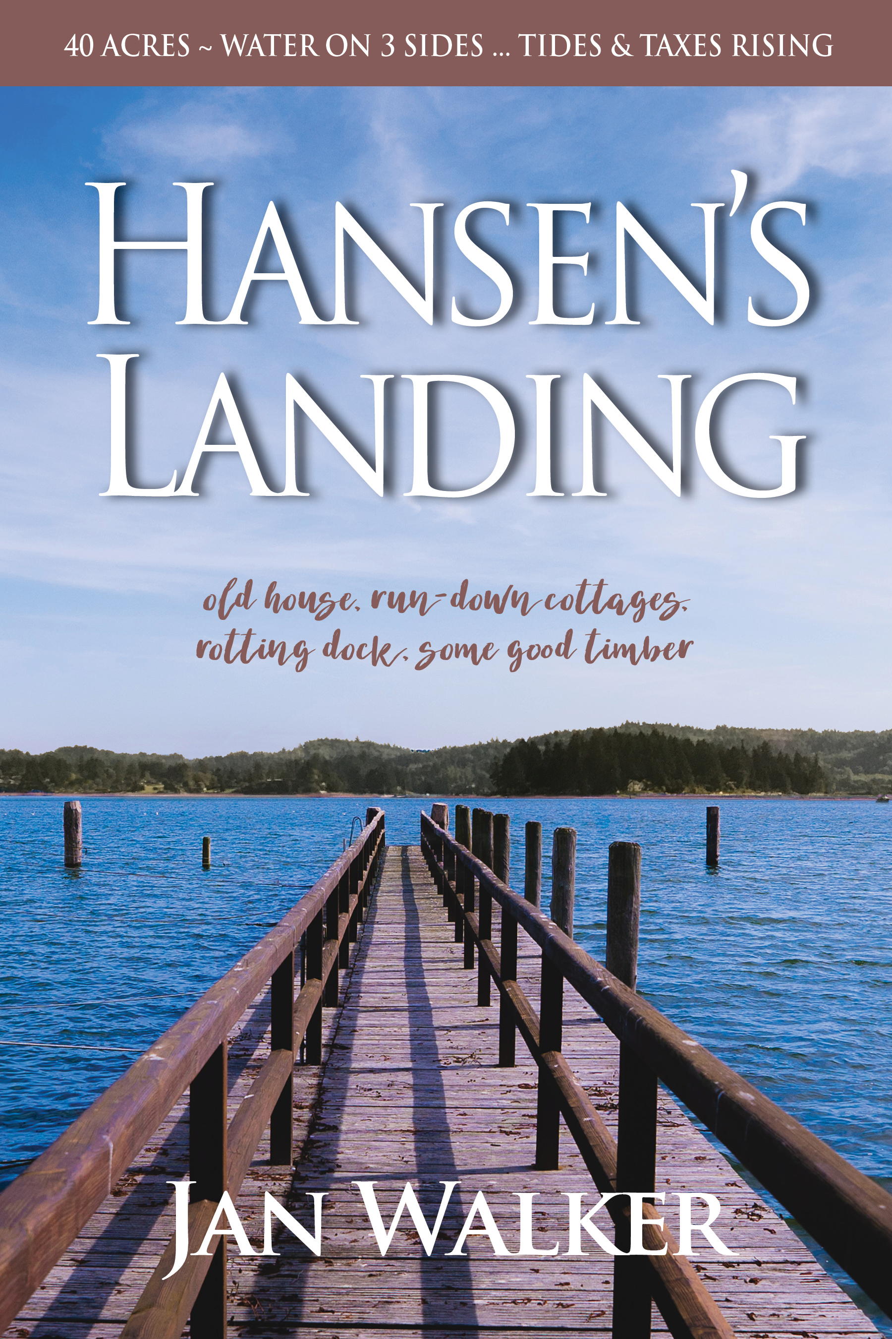 Hansen's Landing by Jan Walker | Goodreads