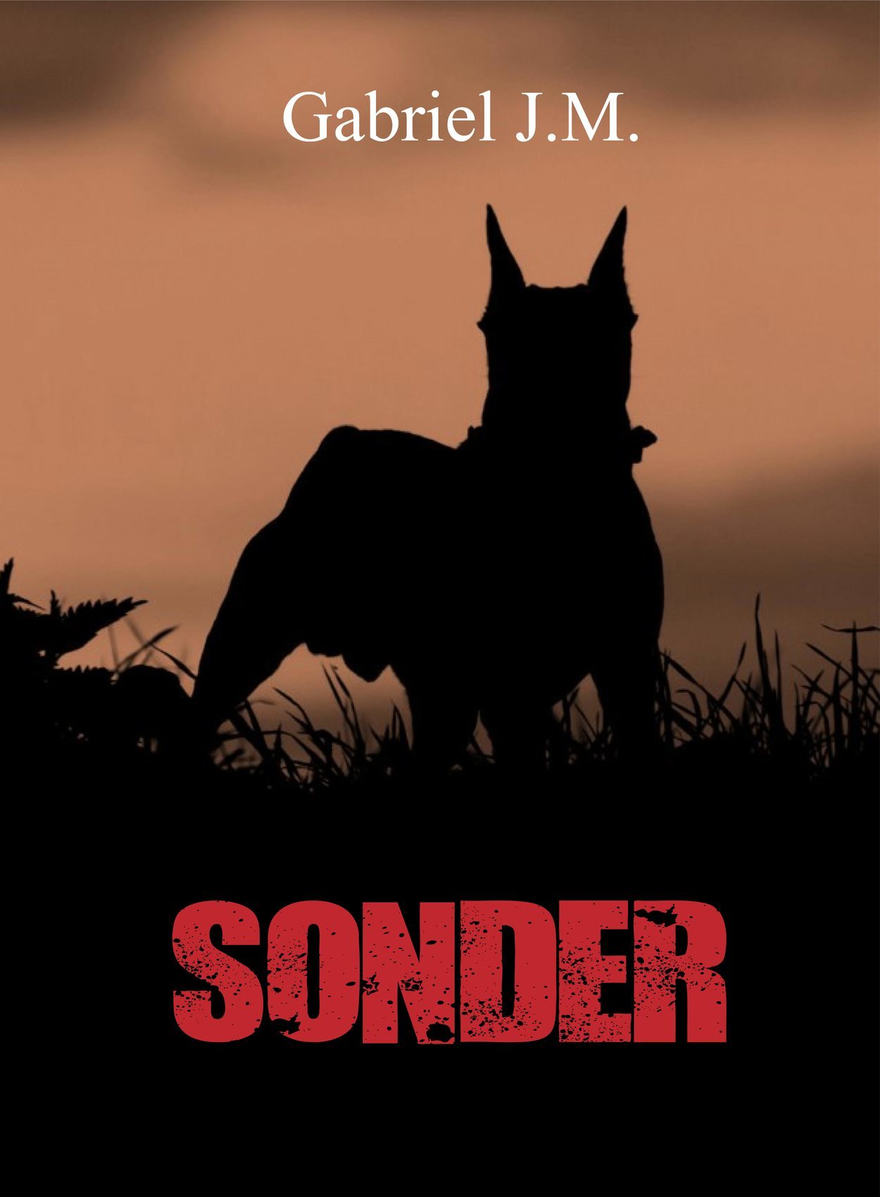 Sonder by Gabriel J.M. | Goodreads