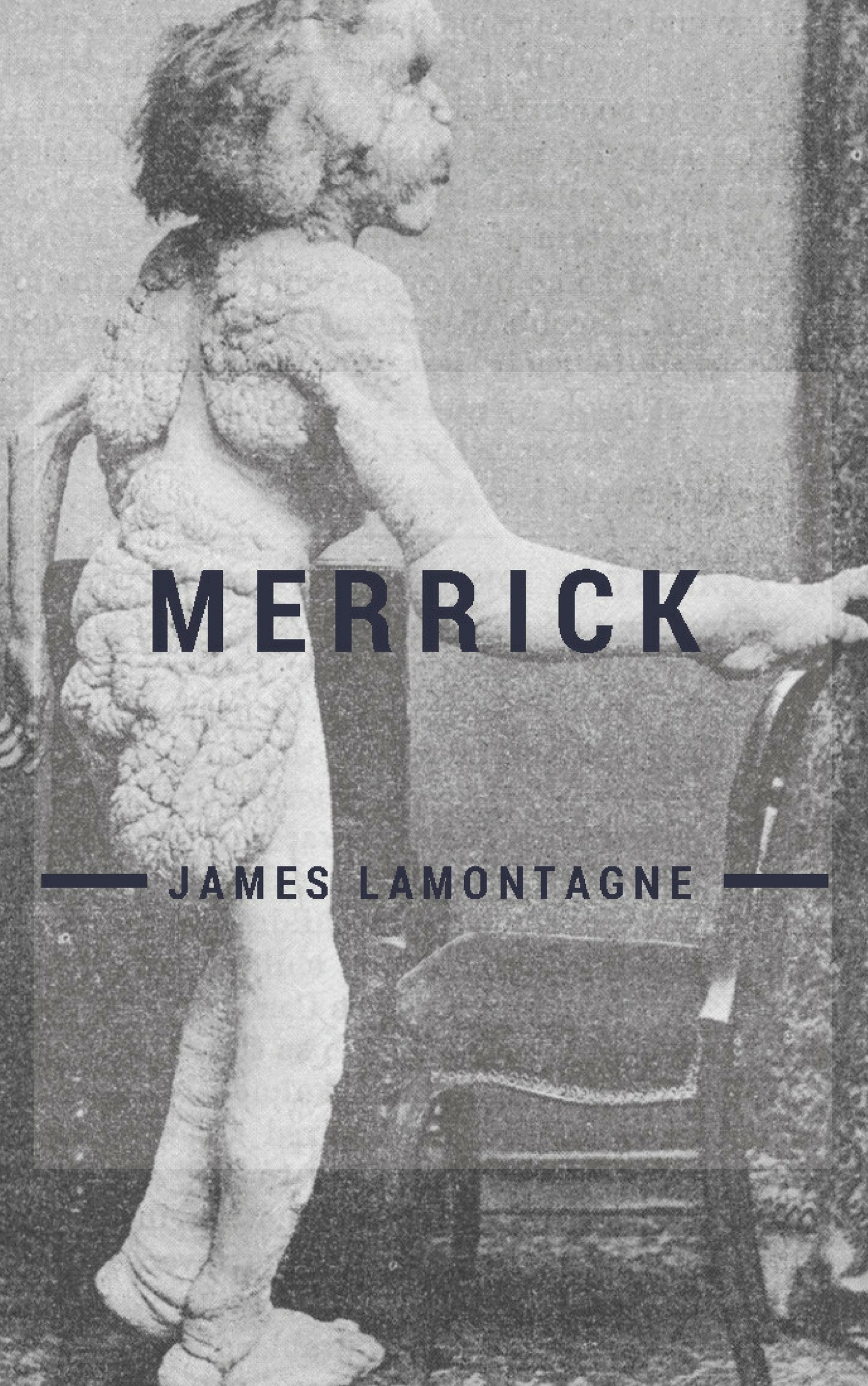 Merrick by James Lamontagne | Goodreads