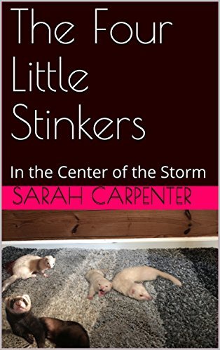 The Four Little Stinkers: In the Center of the Storm by Sarah Carpenter ...