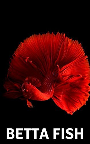 BETTA FISH : PHOTO BOOK by PIMMY SEAN | Goodreads