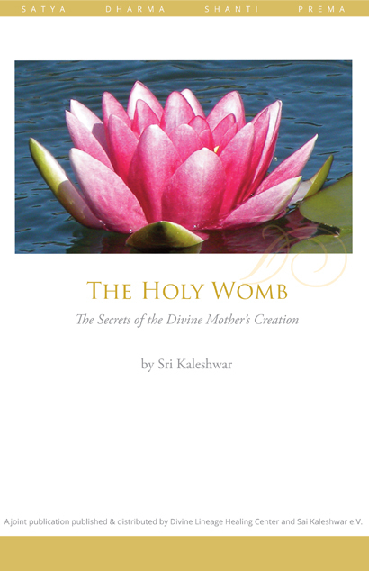 The Holy Womb ; The Secrets of the Divine Mother’s Creation by Sai ...