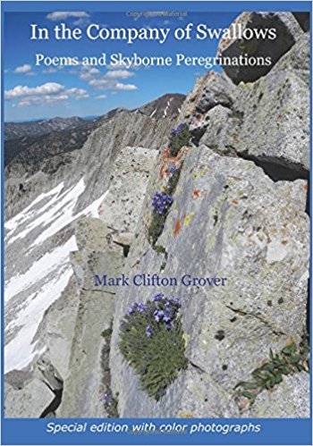 In the Company of Swallows by Mark Clifton Grover | Goodreads