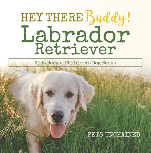 Hey There Buddy! | Labrador Retriever Kids Books | Children's Dog Books ...