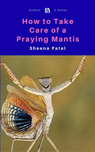 How to Take Care of a Praying Mantis by Sheena Patel | Goodreads