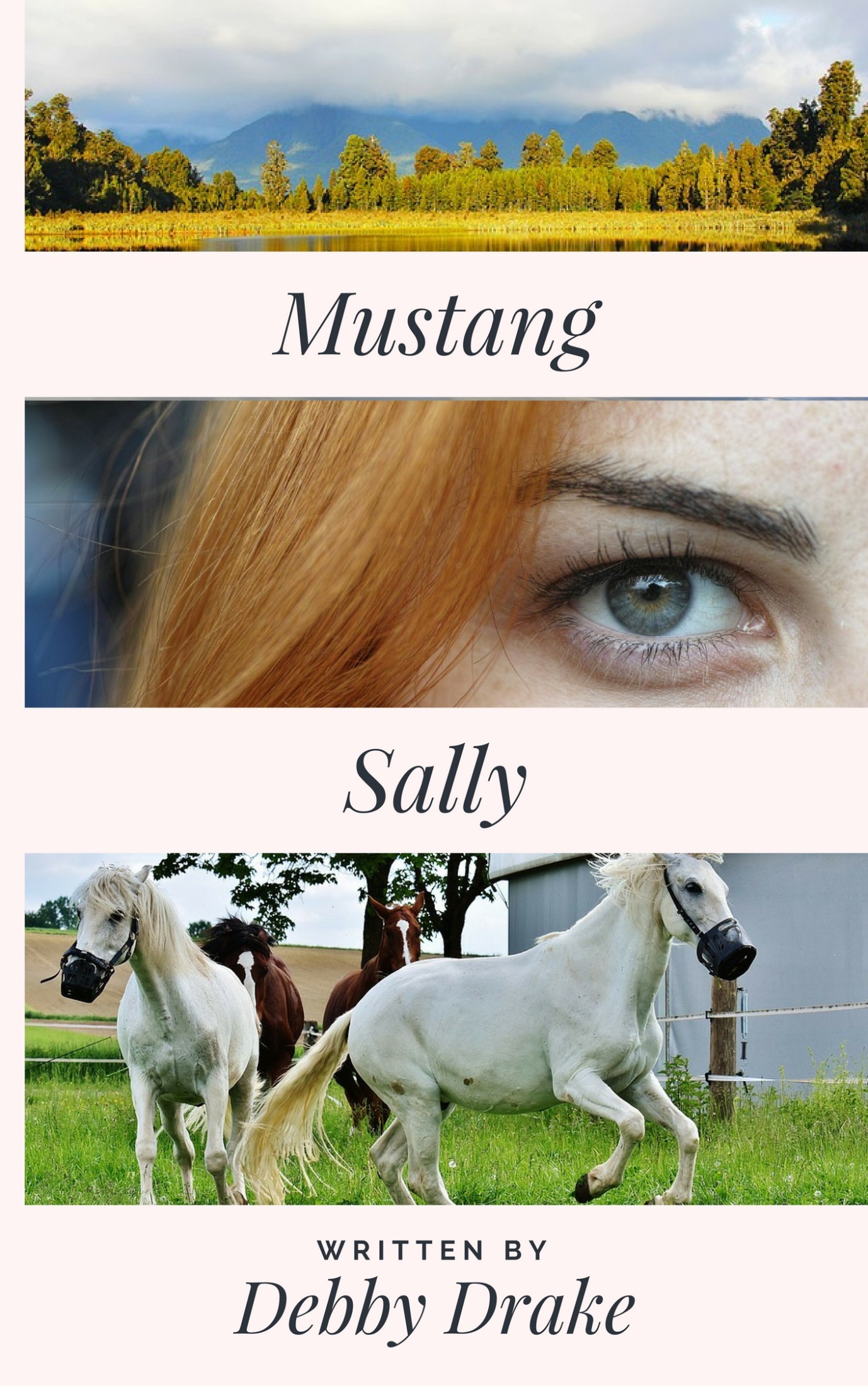 Mustang Sally by Debby Drake | Goodreads