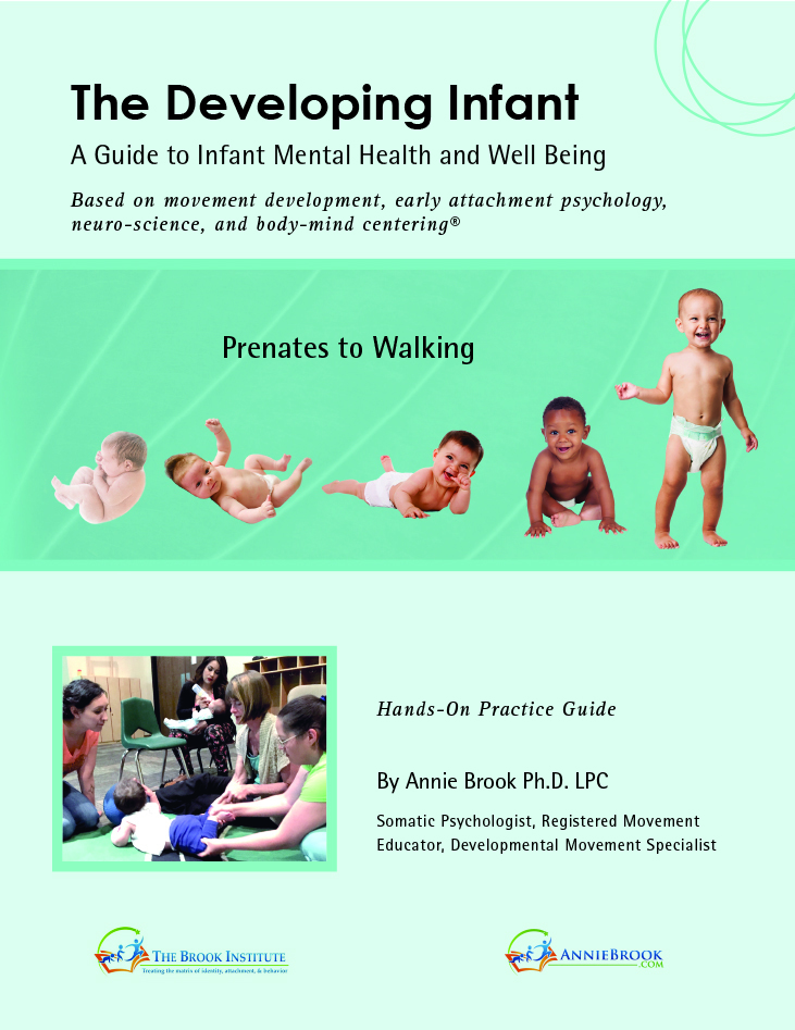 The Developing Infant: A Guide to Infant Mental Health and Well Being ...