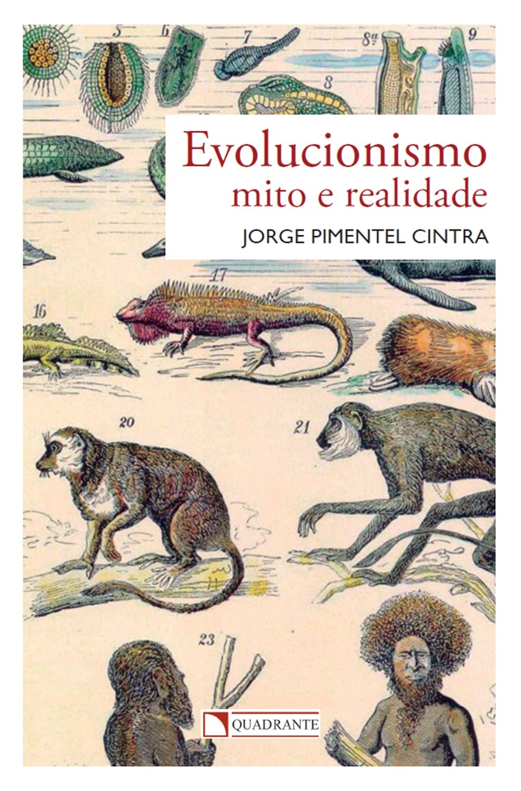 Evolucionismo: Mito e realidade by Jorge Pimentel Cintra | Goodreads