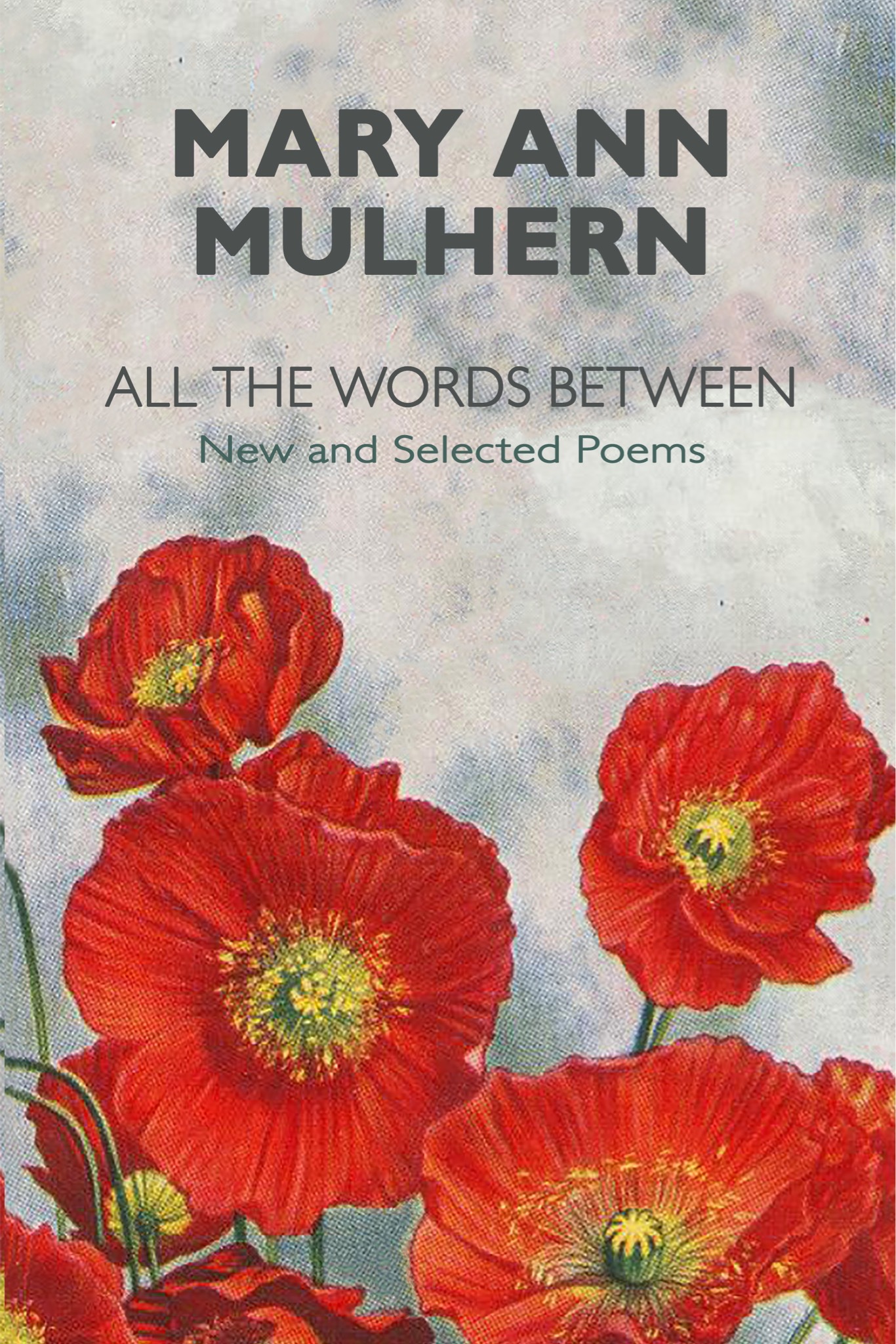 All the Words Between: New and Selected Poems by Mary Ann Mulhern ...