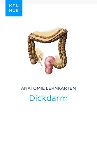 Anatomie Lernkarten: Dickdarm: Lerne alle Organe, Muskeln, Arterien und ...