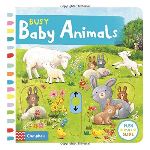 Busy Baby Animals by Ag Jatkowska | Goodreads