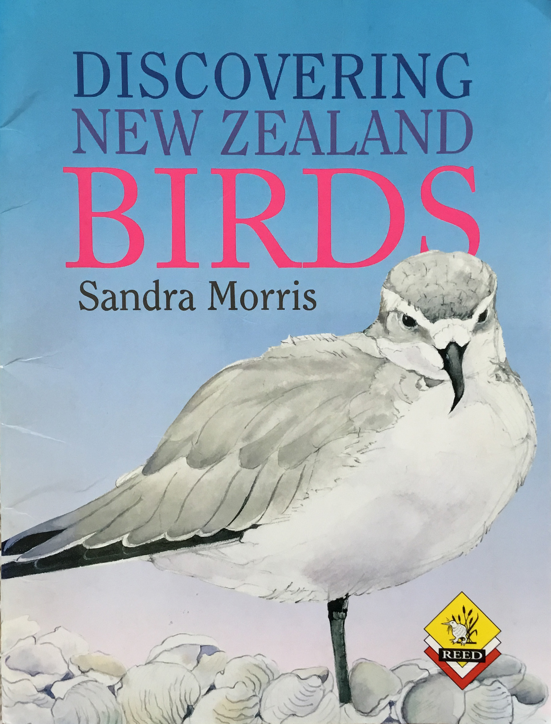 Discovering New Zealand Birds by Sandra Morris | Goodreads