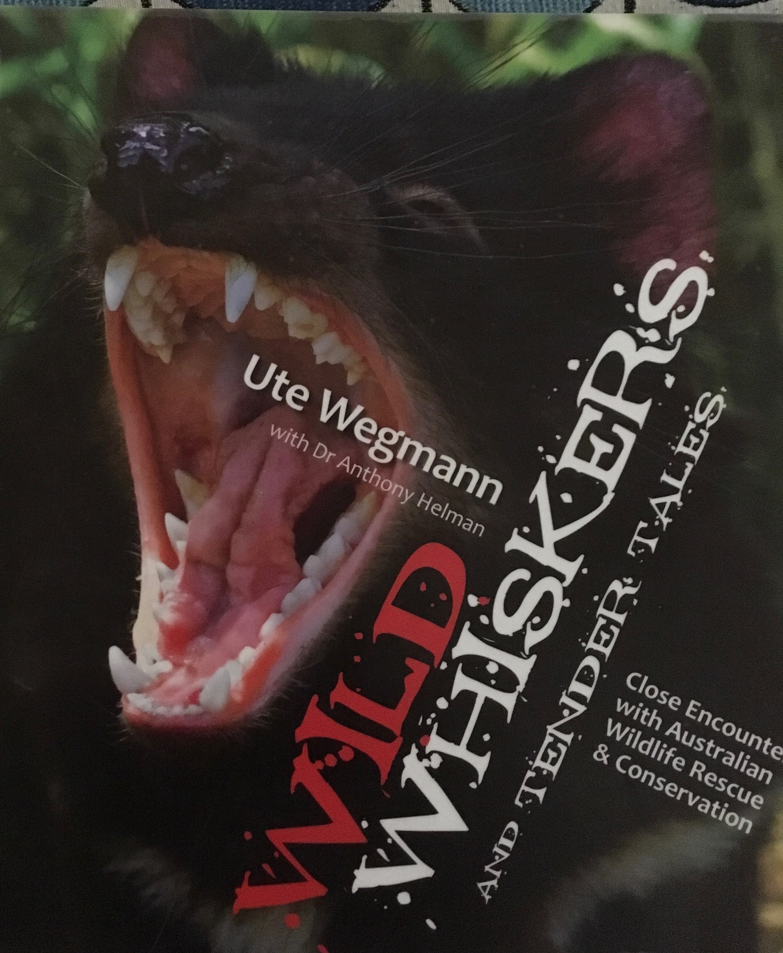 Wild Whiskers And Tender Tales: Close Encounters with Australian ...