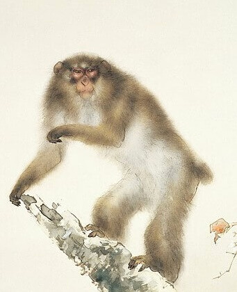 The Sagacious Monkey and the Boar - Japanese Fairy Tale by Yei Theodora ...