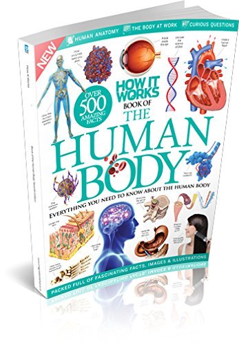 How It Works Book of the Human Body 7th Edition by Imagine Publishing ...
