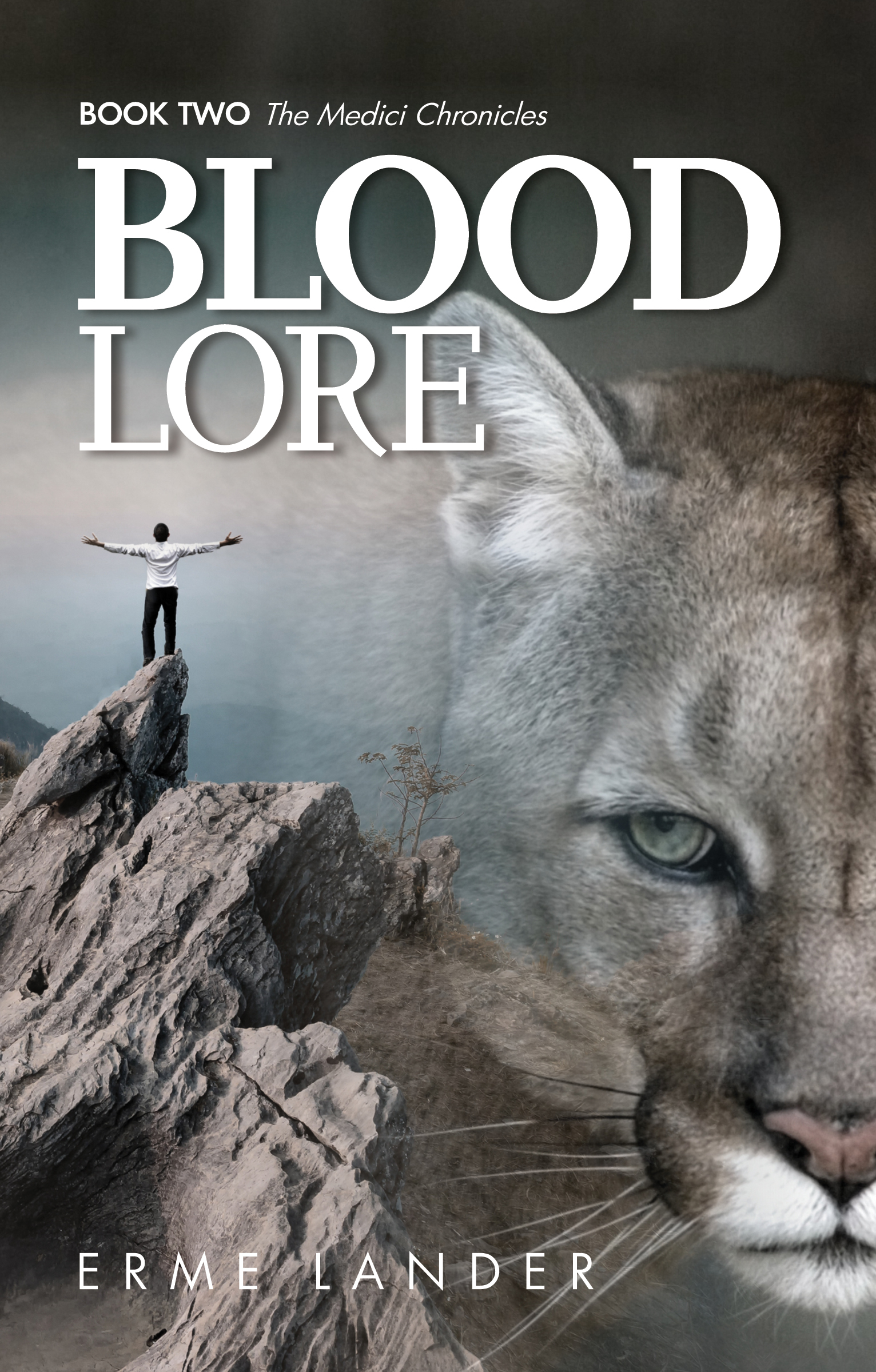Blood Lore by Erme Lander | Goodreads
