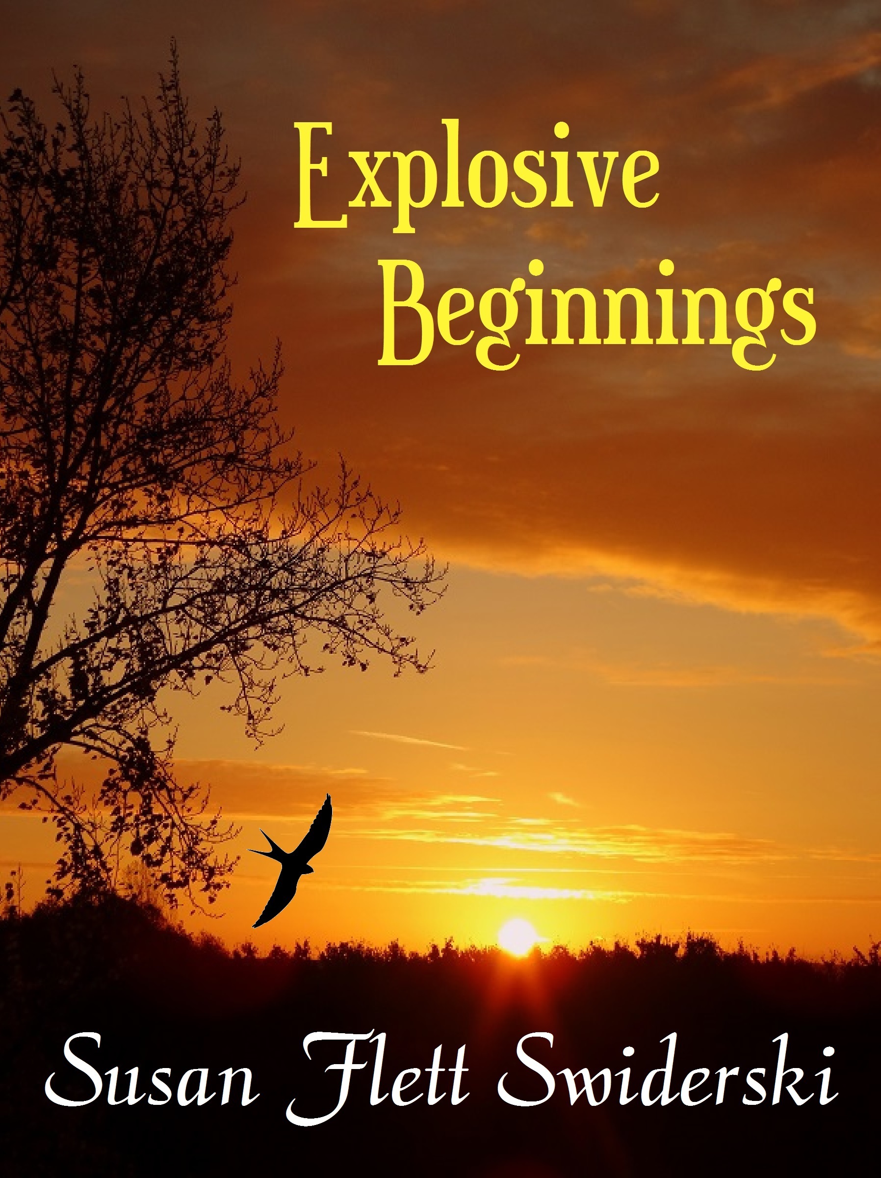 Explosive Beginnings (Blast Rites, #1) by Susan Flett Swiderski | Goodreads